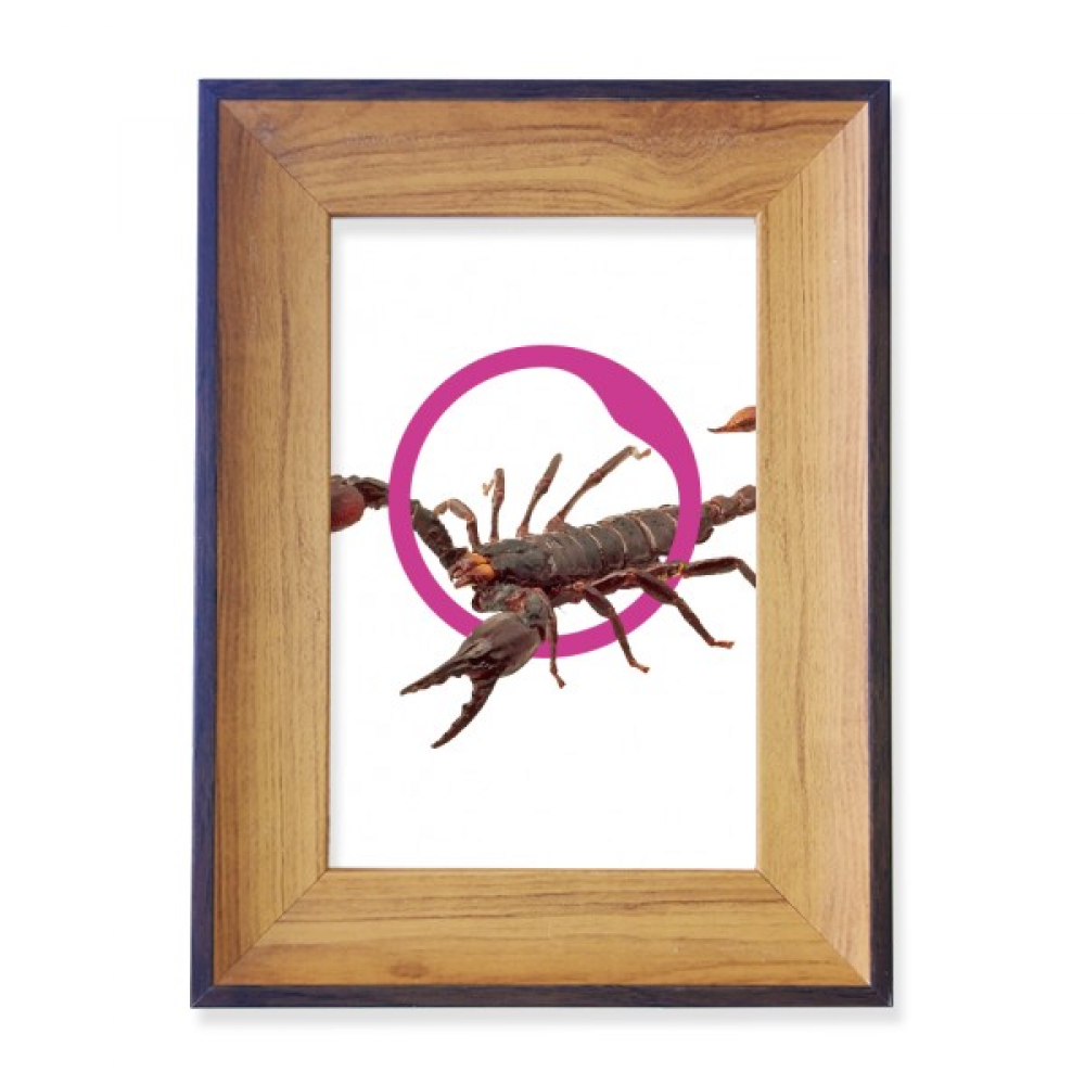 Scorpion Natural Insect Litation Photo Frame Exhibition Display Art ...