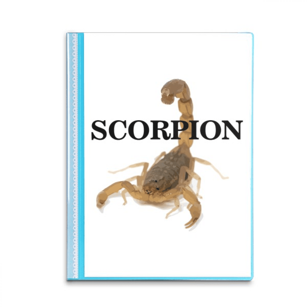 Scorpion Natural Insect Routine Book Sheet Protectors Portfolio Binder ...