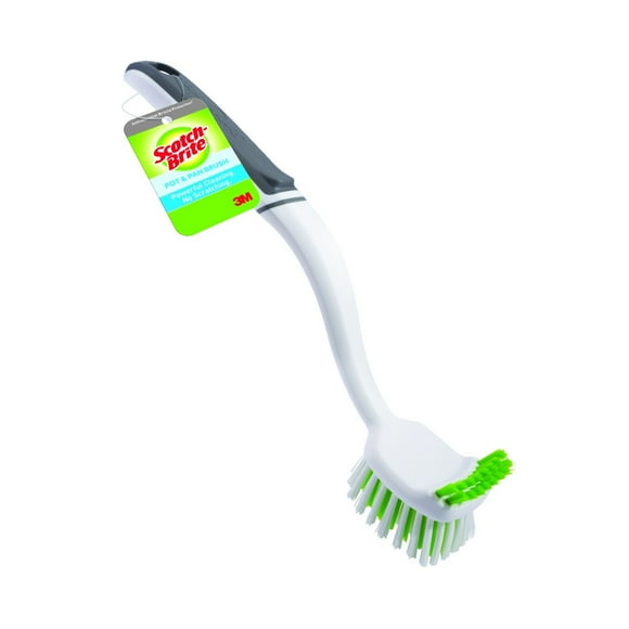 Webster Brush