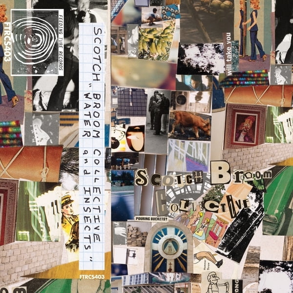 Scotch Broom Collective - Insects And Water - Music & Performance ...