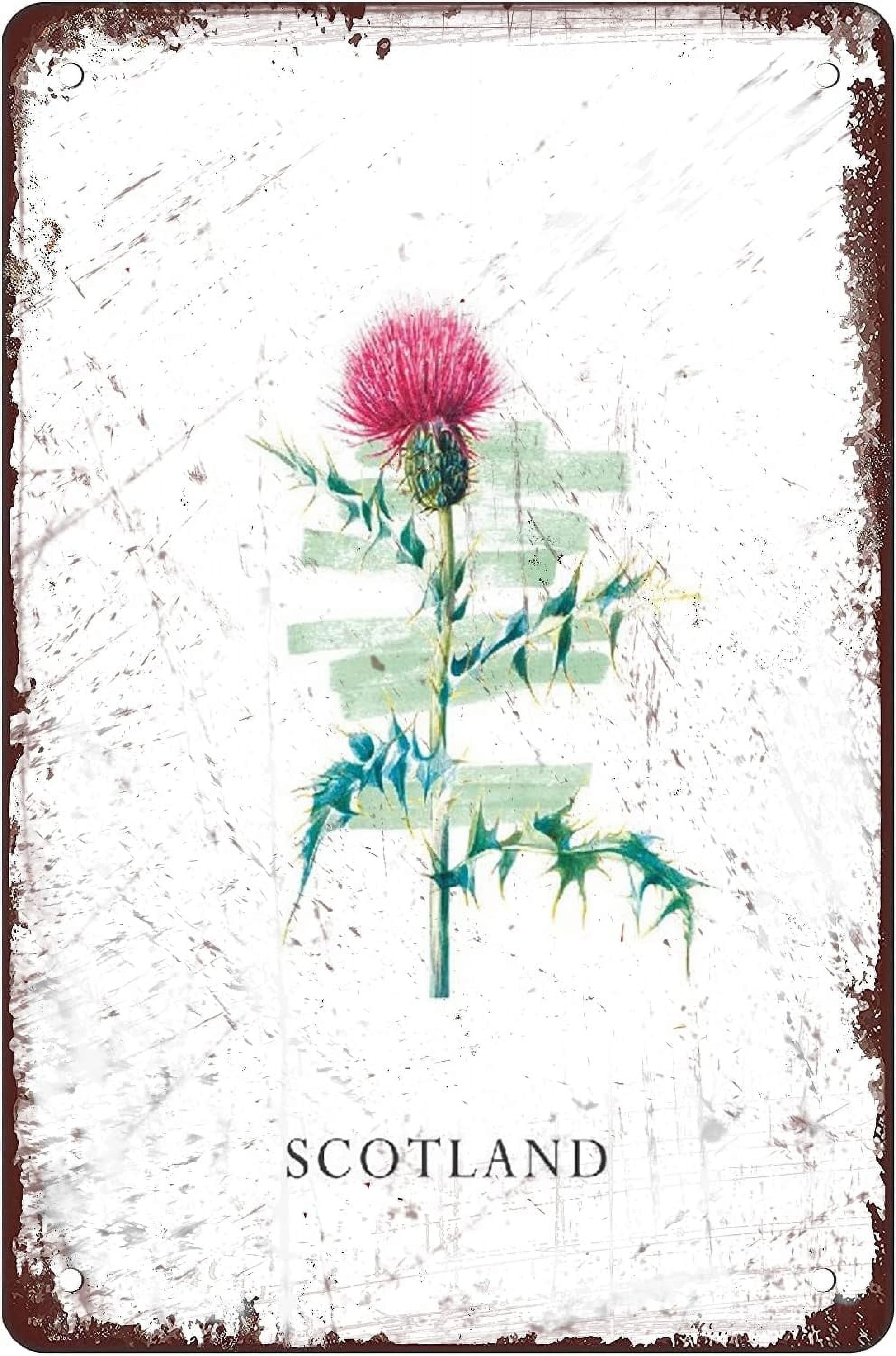 Scotland Thistle Poster Metal Tin Sign Retro Kitchen Posters Prints ...