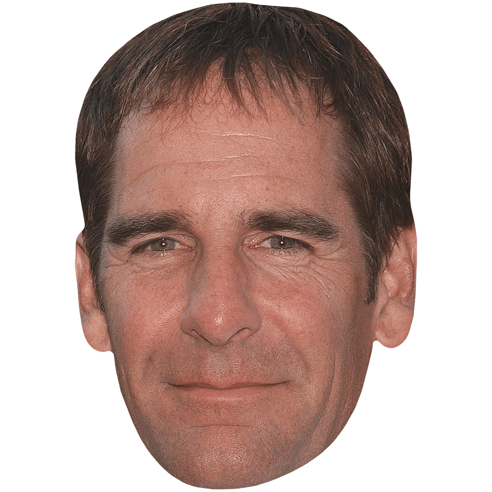 Scott Bakula (Young) Flat Cardboard Face - Walmart.com