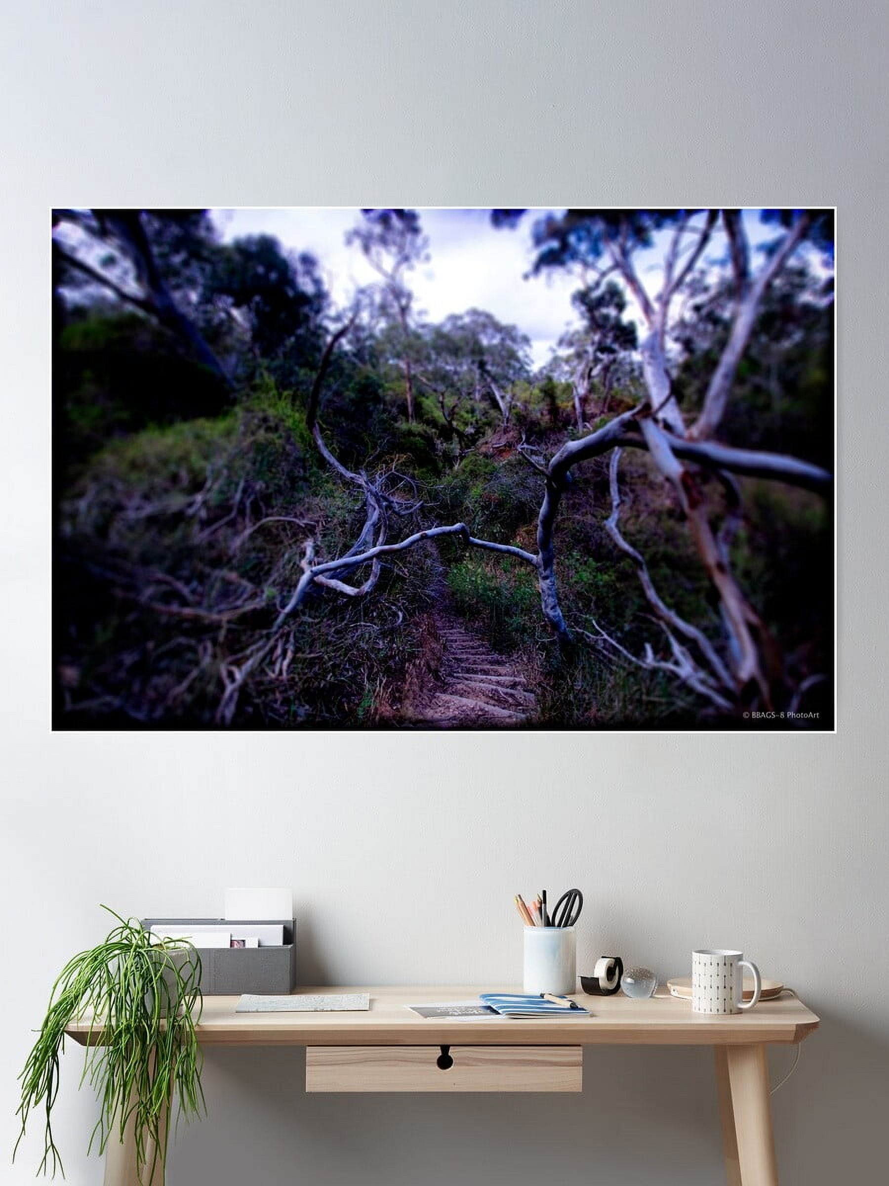 Scott Conservation Park Poster Wall Art, Modern Wall Decor For Living ...