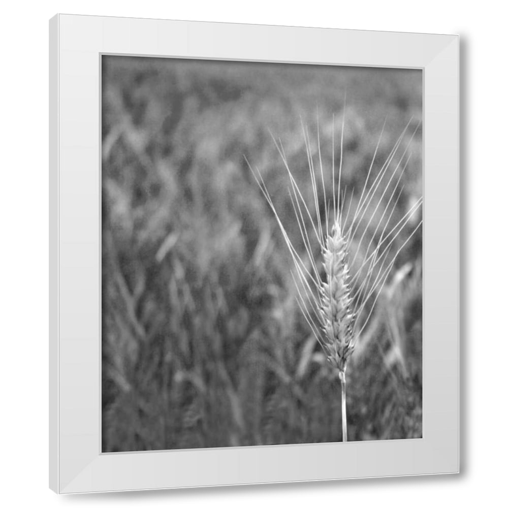 Scott Larson 26x32 White Modern Wood Framed Wall Art Titled - Turning ...