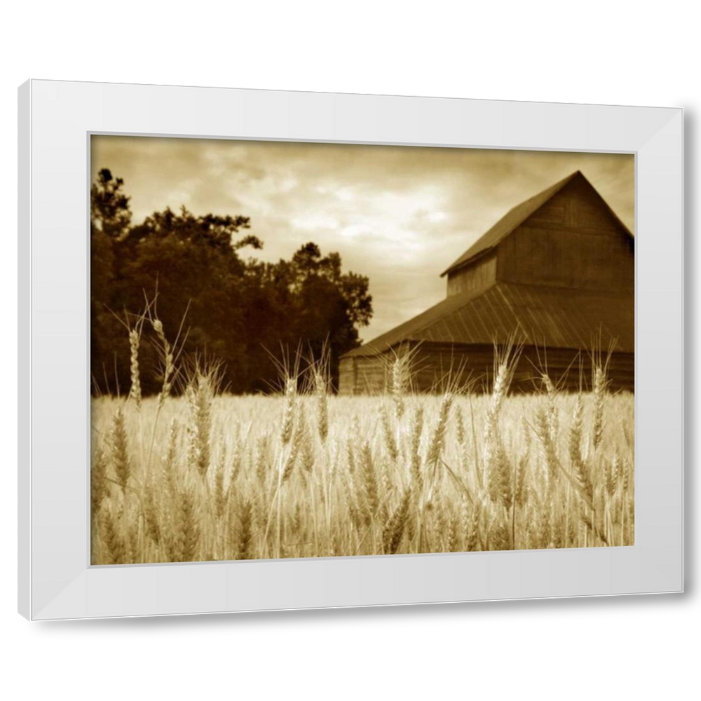 Scott Larson 32x26 White Modern Wood Framed Wall Art Titled - Harvest ...