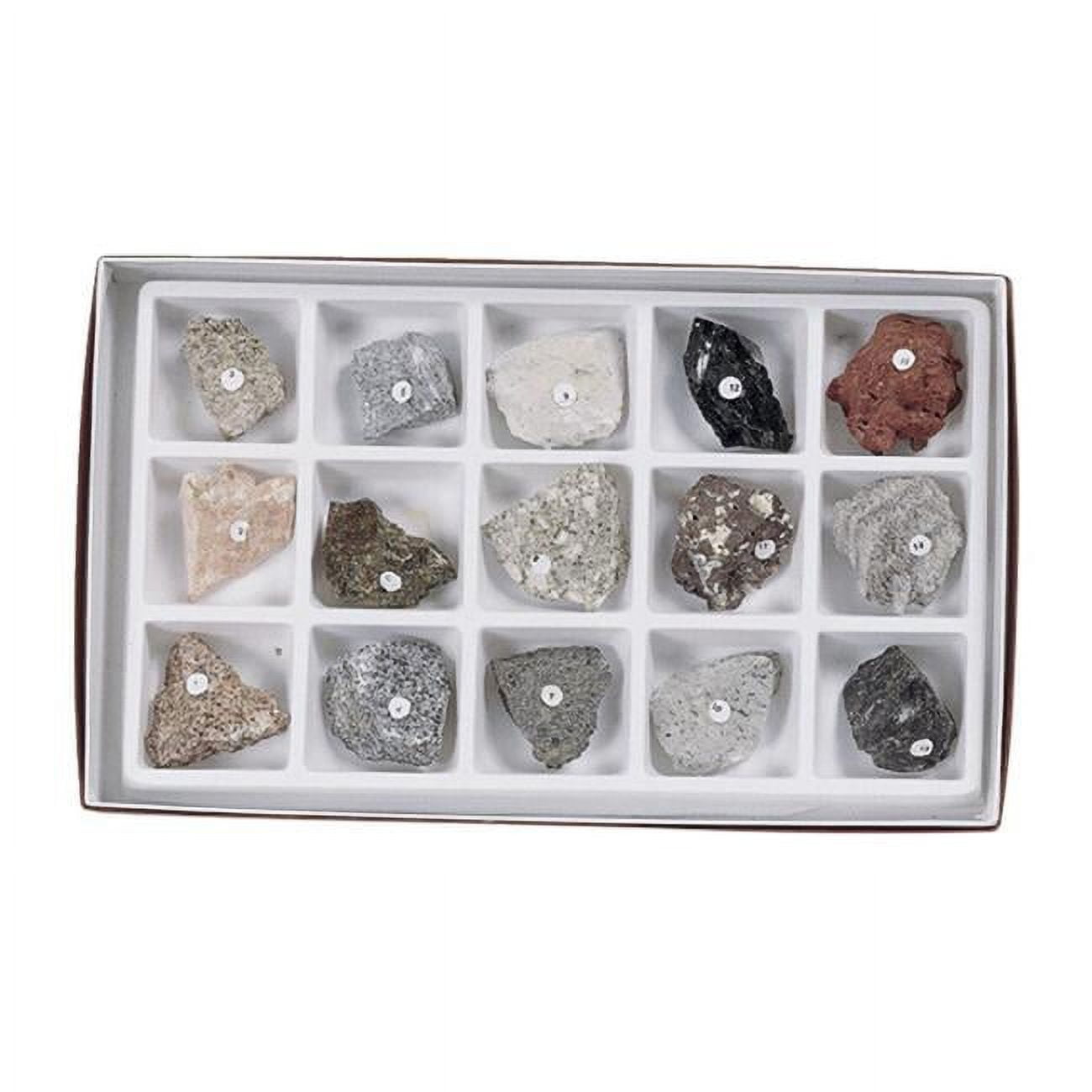 Scott Resources Igneous Rock Collection, Set of 15 - Walmart.com