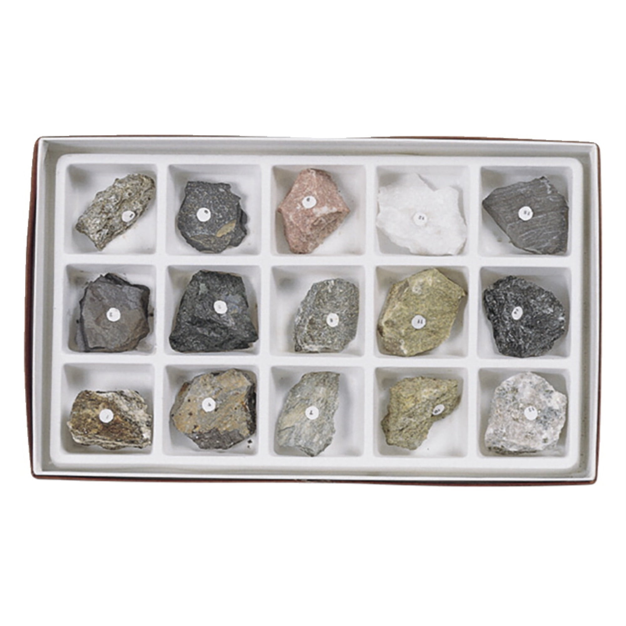 Scott Resources Metamorphic Rock Collection - Walmart.com
