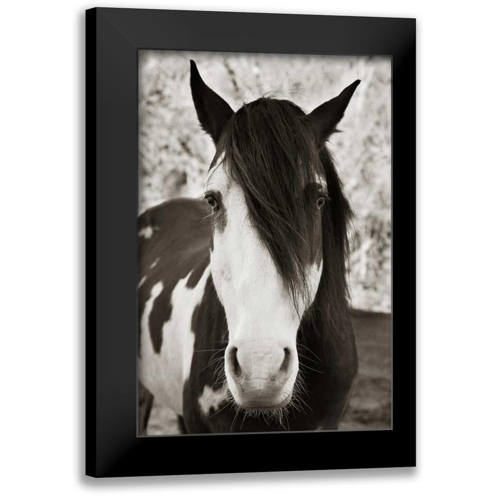 Scott, Traer 11x14 Black Modern Framed Museum Art Print Titled - Pale ...