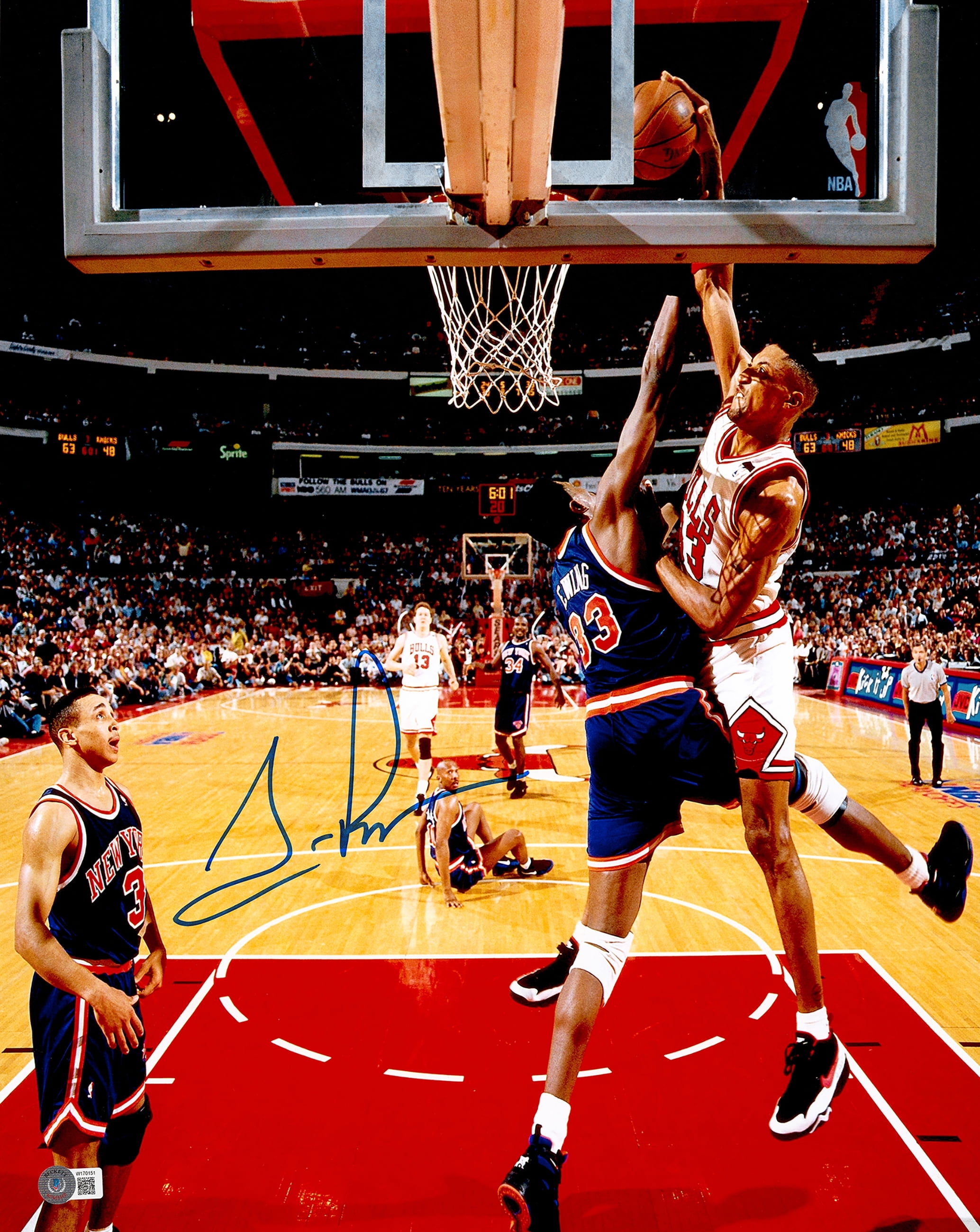 Scottie Pippen Autographed 16x20 Photo Chicago Bulls Dunking Over ...