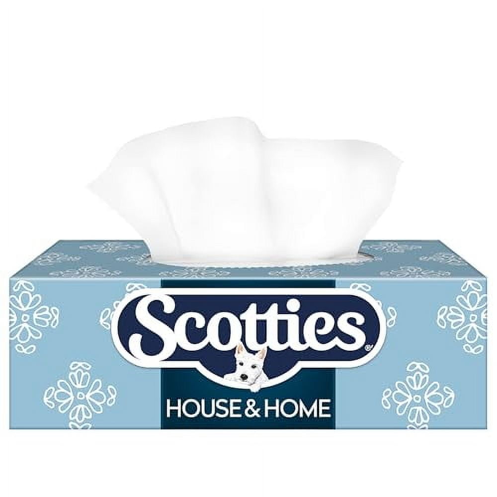 Scotties Facial Tissue, 2-ply, 126 sheets per box - 6 Pack (Canadian) - Walmart.com