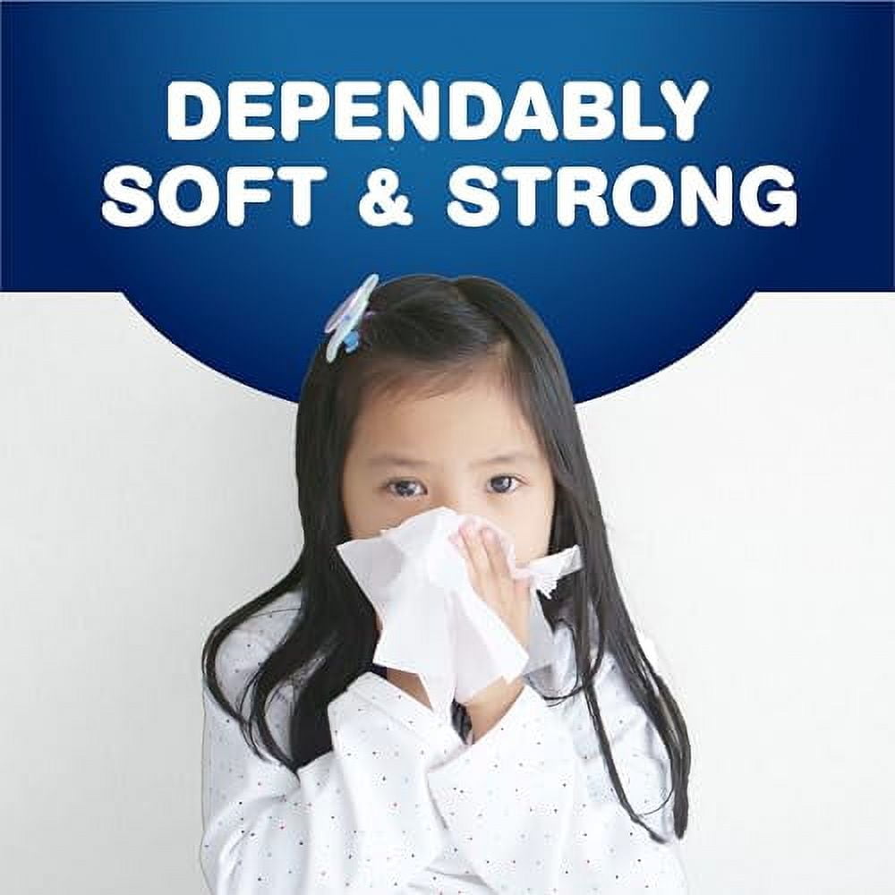 Scotties Facial Tissue, 2-ply, 126 sheets per box - 6 Pack (Canadian ...