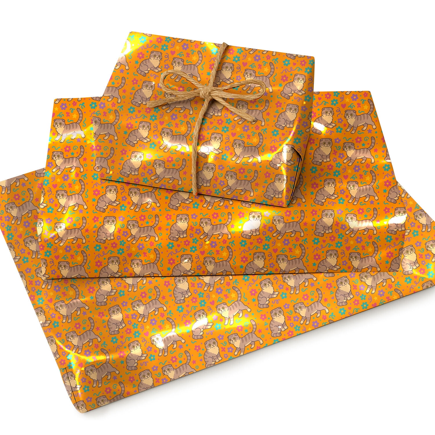 Scottish Fold Christmas Wrapping Paper Rolls, Scottish Fold Holiday ...