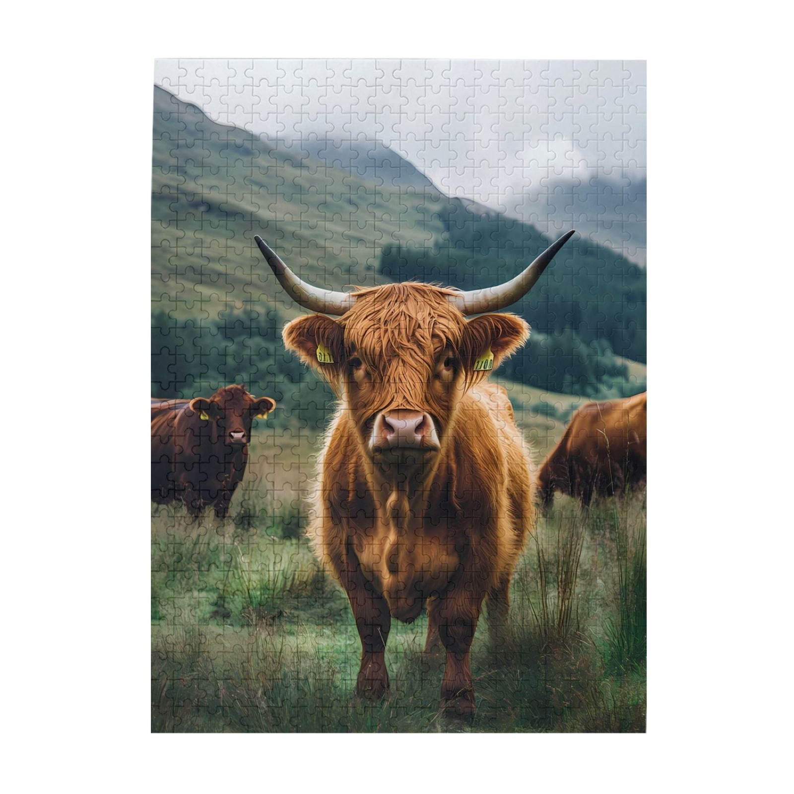 Scottish Highland Cattle Mountain 1000-Piece Wooden Jigsaw Puzzle for ...