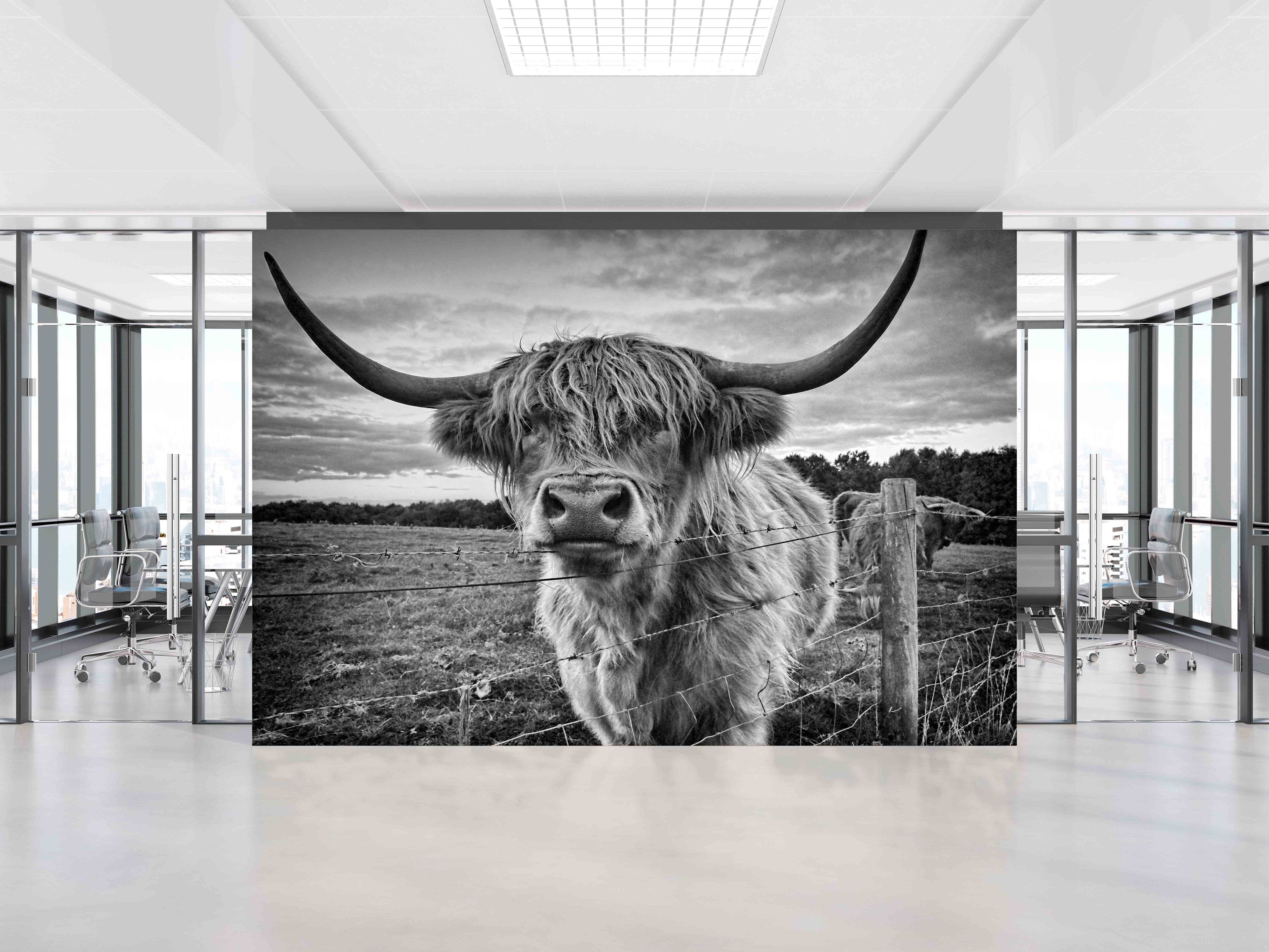 Scottish Highland Cattle Photo, Paper Wall Art Animal Wall Print, 3d ...