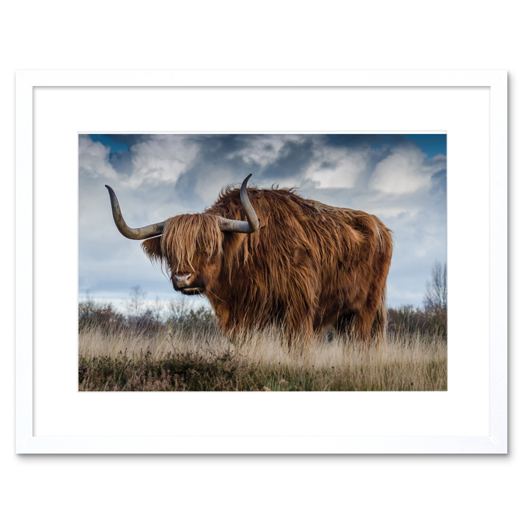Scottish Highland Cow Coo Framed Wall Art Print - Walmart.com