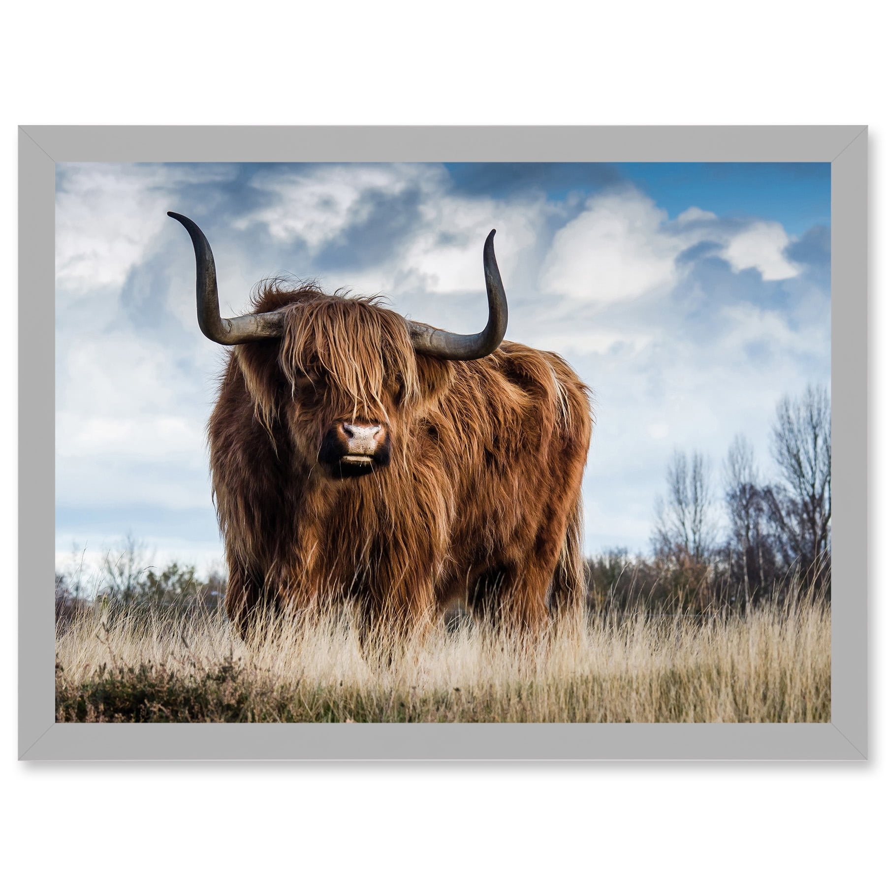Scottish Highland Cow Hairy Coo Photo Artwork Framed Wall Art Print A4 ...