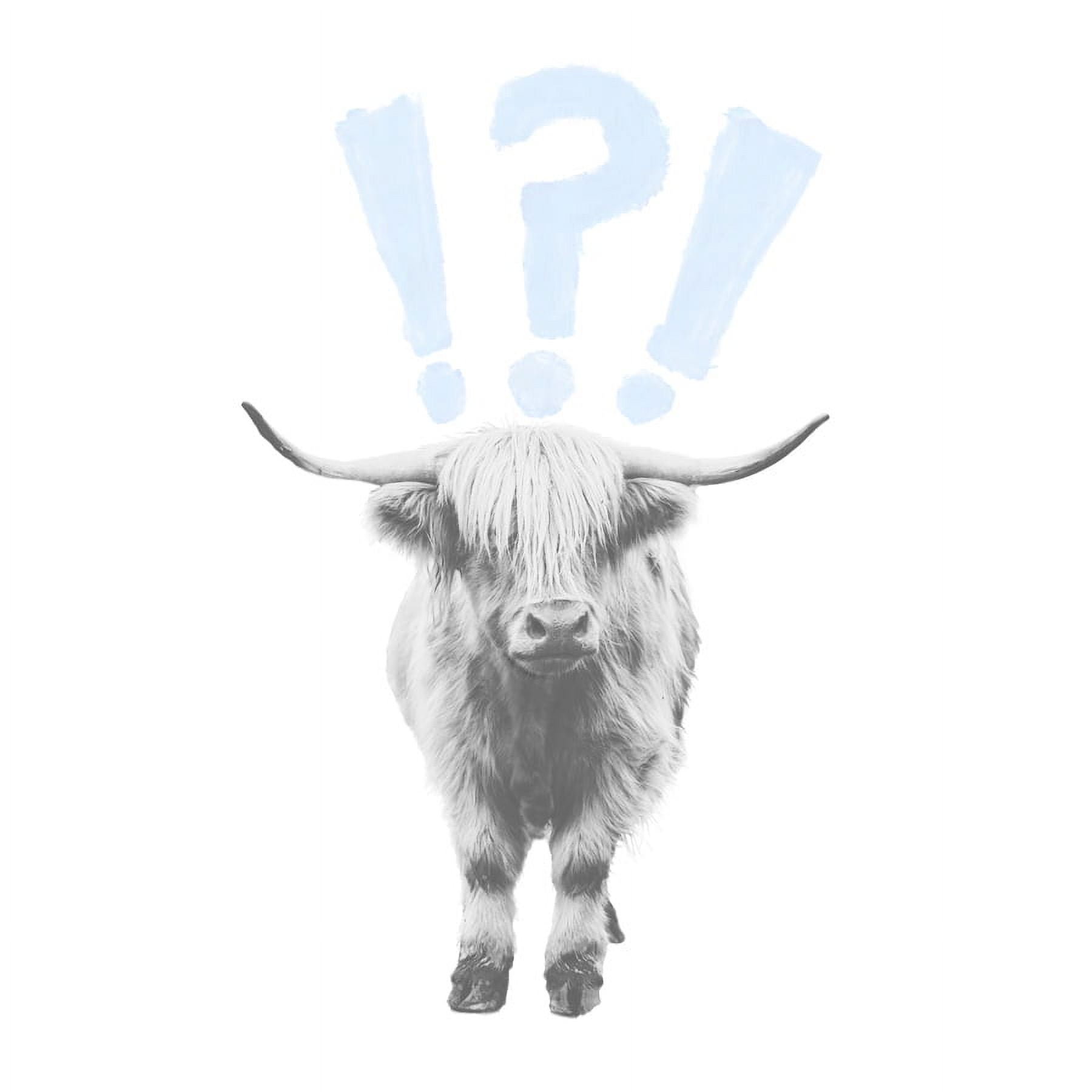 Scottish Highland Hairy Coo Cow Surprised Expression Scotland Art Print ...