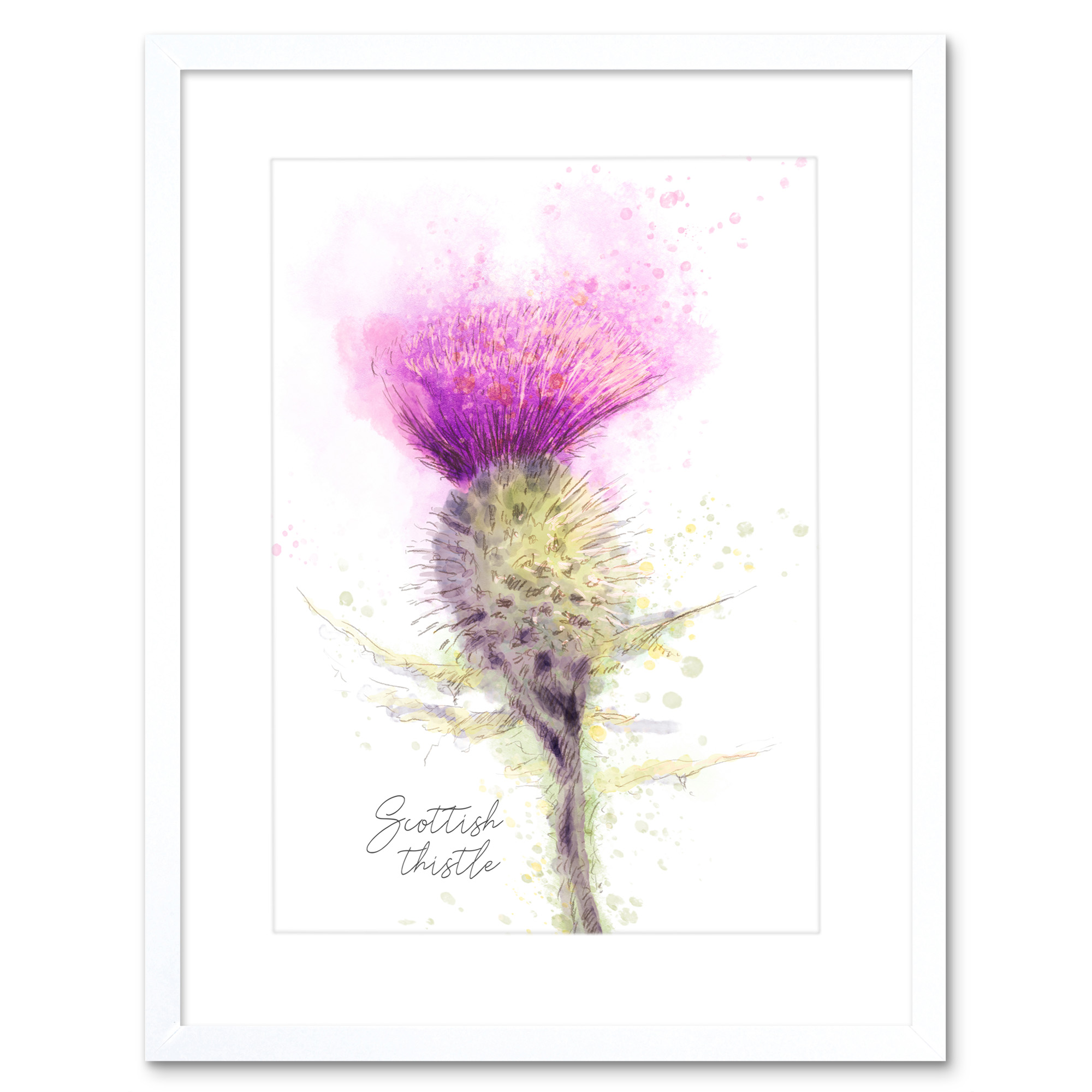 Scottish Thisle Scotland National Flower Bright Floral Watercolour ...