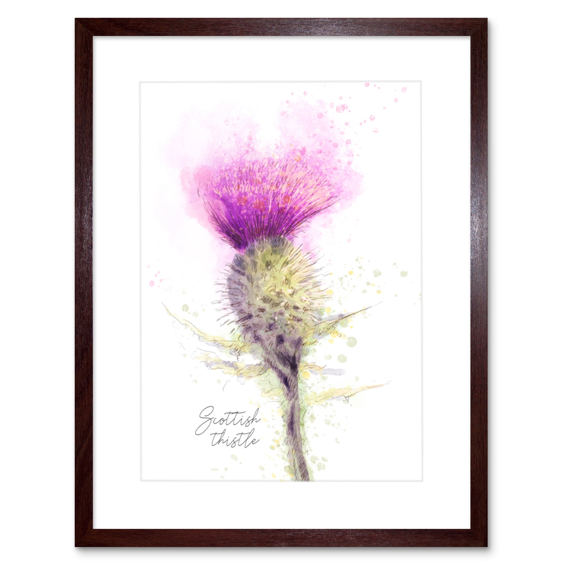 Scottish Thistle Flower Head Watercolour Scotland Framed Wall Art Print ...