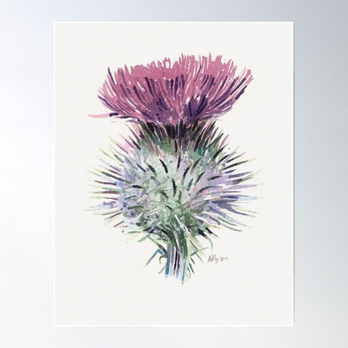 Scottish Thistle Poster Wall Art, Modern Wall Decor For Living Room ...