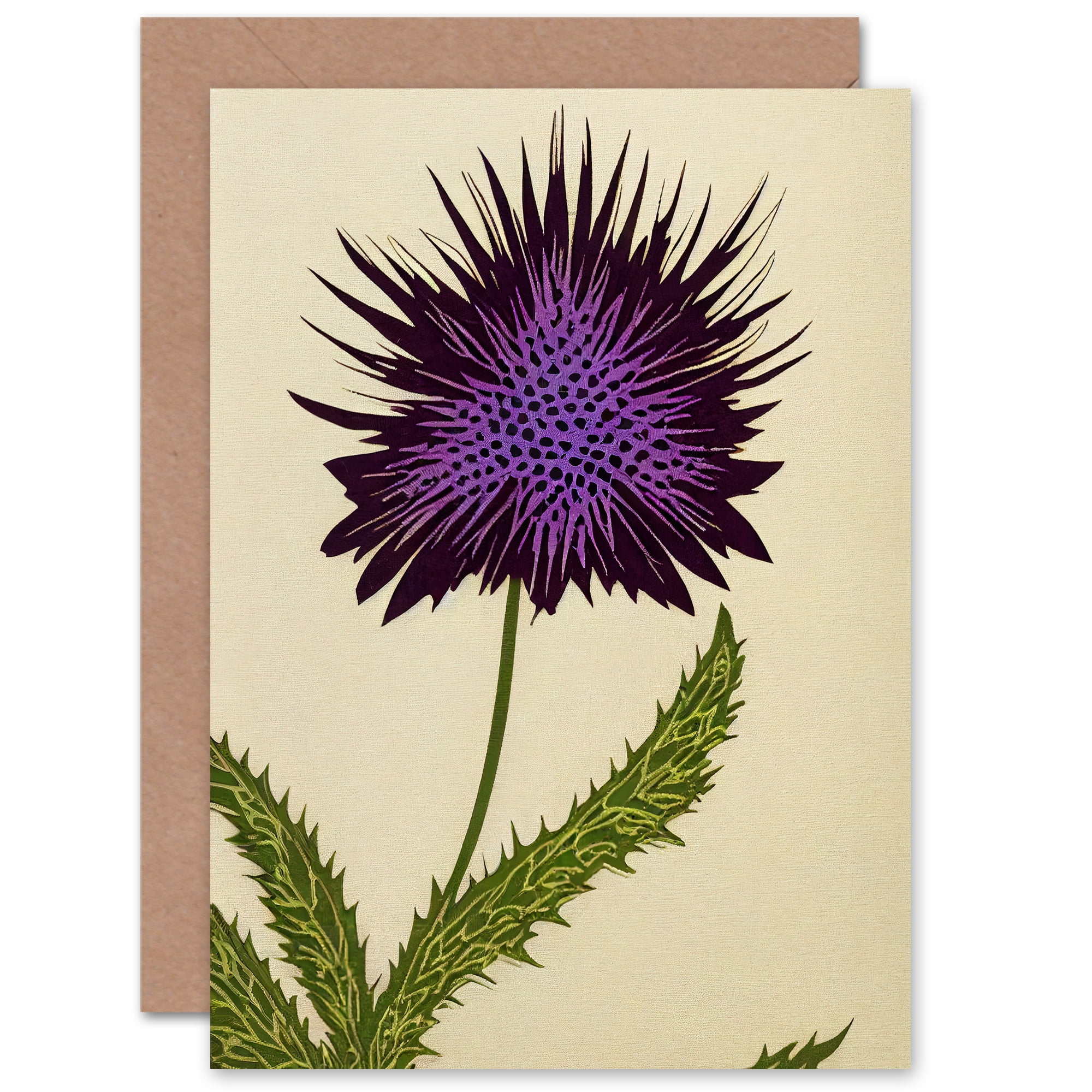 Scottish Thistle for Him or Her Man Woman Birthday Thank You ...
