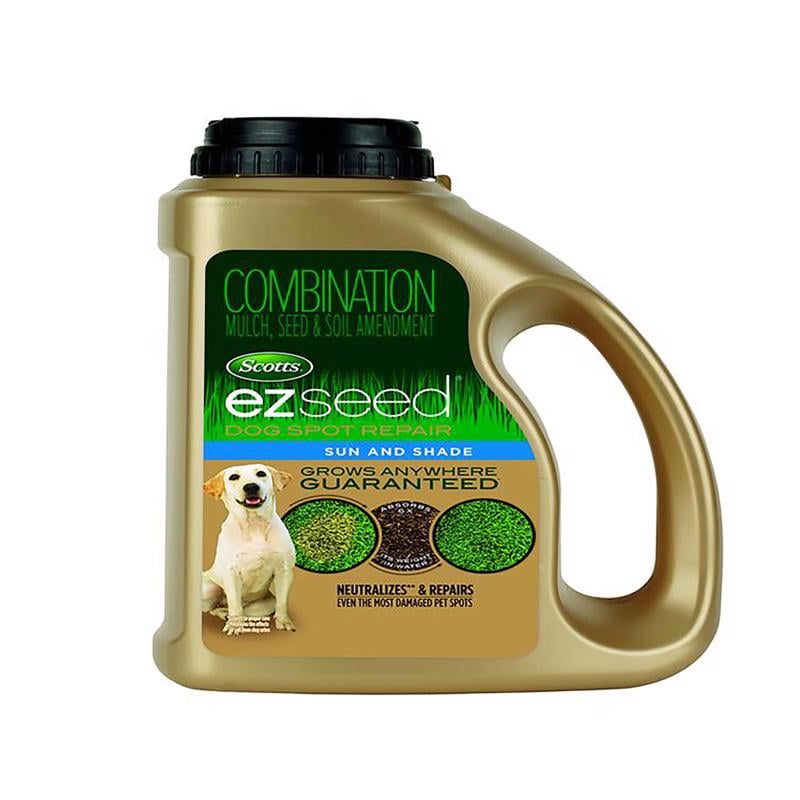 Grass Seeds Dogs