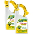 Scotts Outdoor Spray Lawn Grass - Liquid Turf Builder with Plus 2 Weed ...