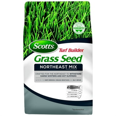 Scotts Turf Builder Grass Seed Perennial Ryegrass Mix, 5.6 lbs ...