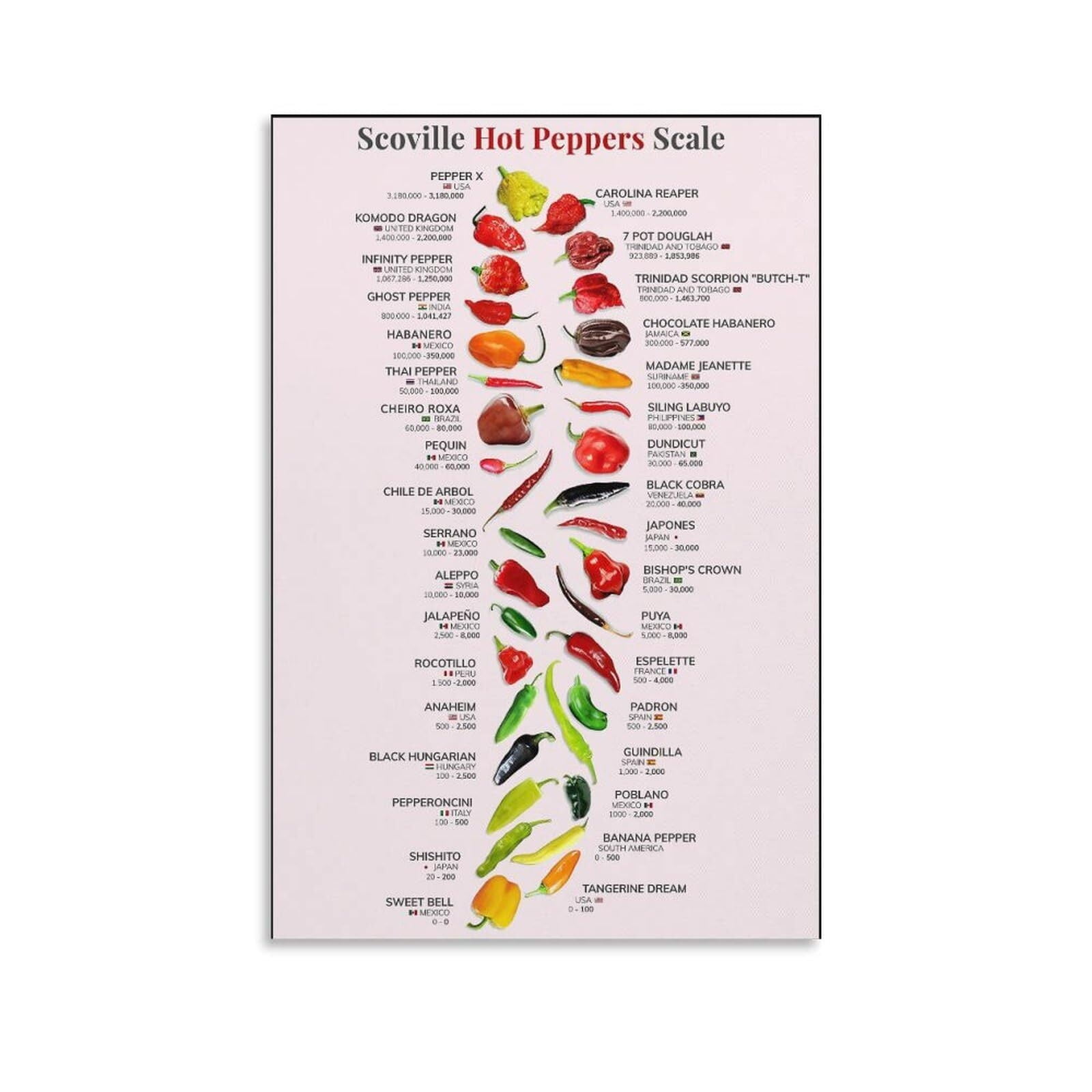Scoville Hot Peppers Scale Poster Kitchin Guide Poster Decorative ...