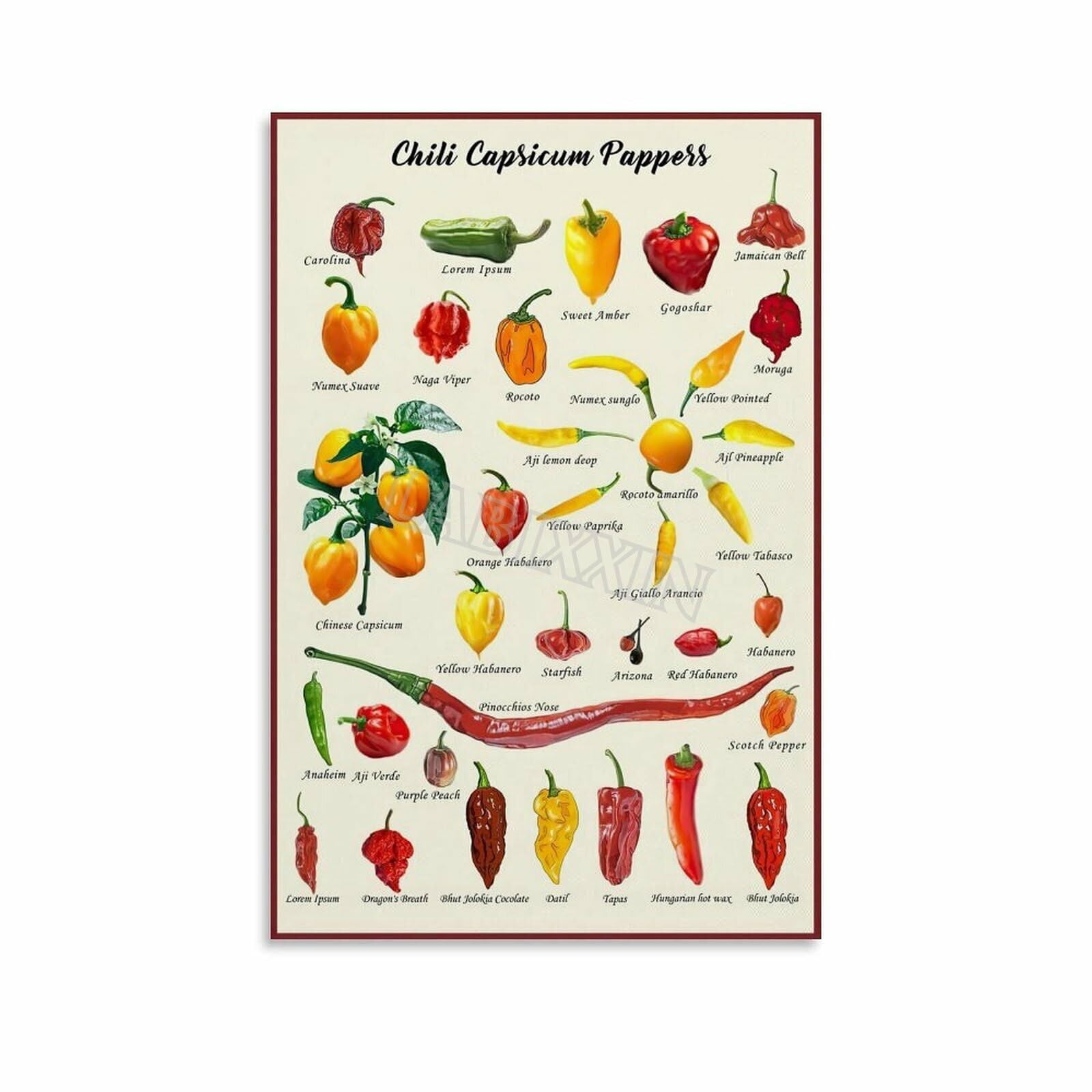 Scoville1 Heat Units Peppers Chart Poster Chili Knowledge Guide Wall ...