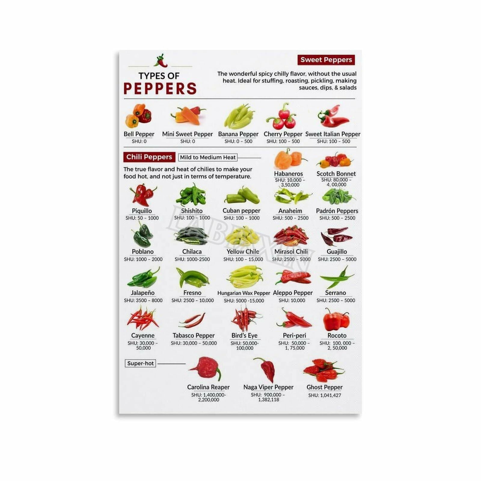 Scoville1 Heat Units Peppers Chart Poster Chili Knowledge Guide Wall ...