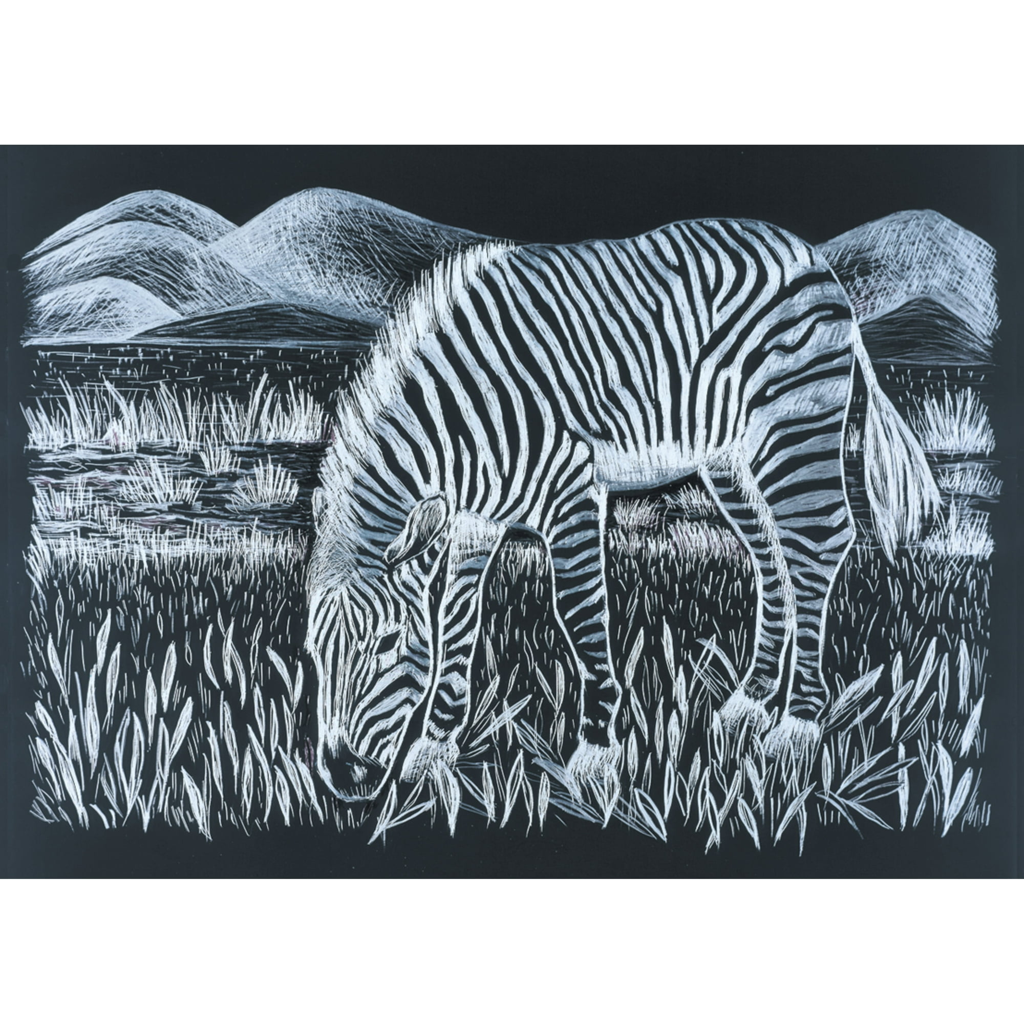 Scratchboard Ideas