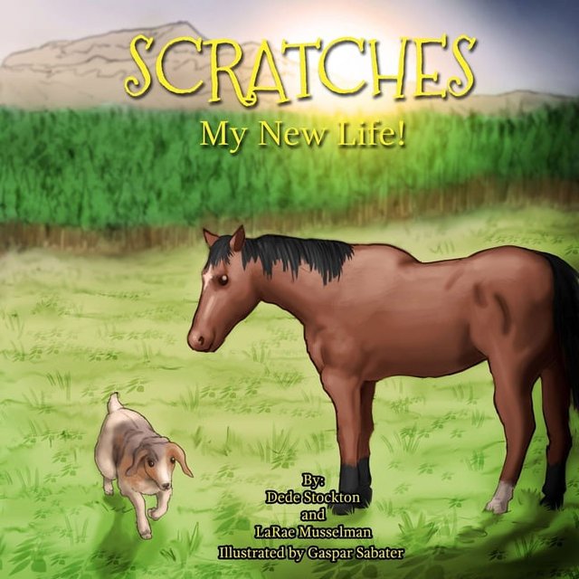 Scratches: My New Life! (Paperback) - Walmart.com