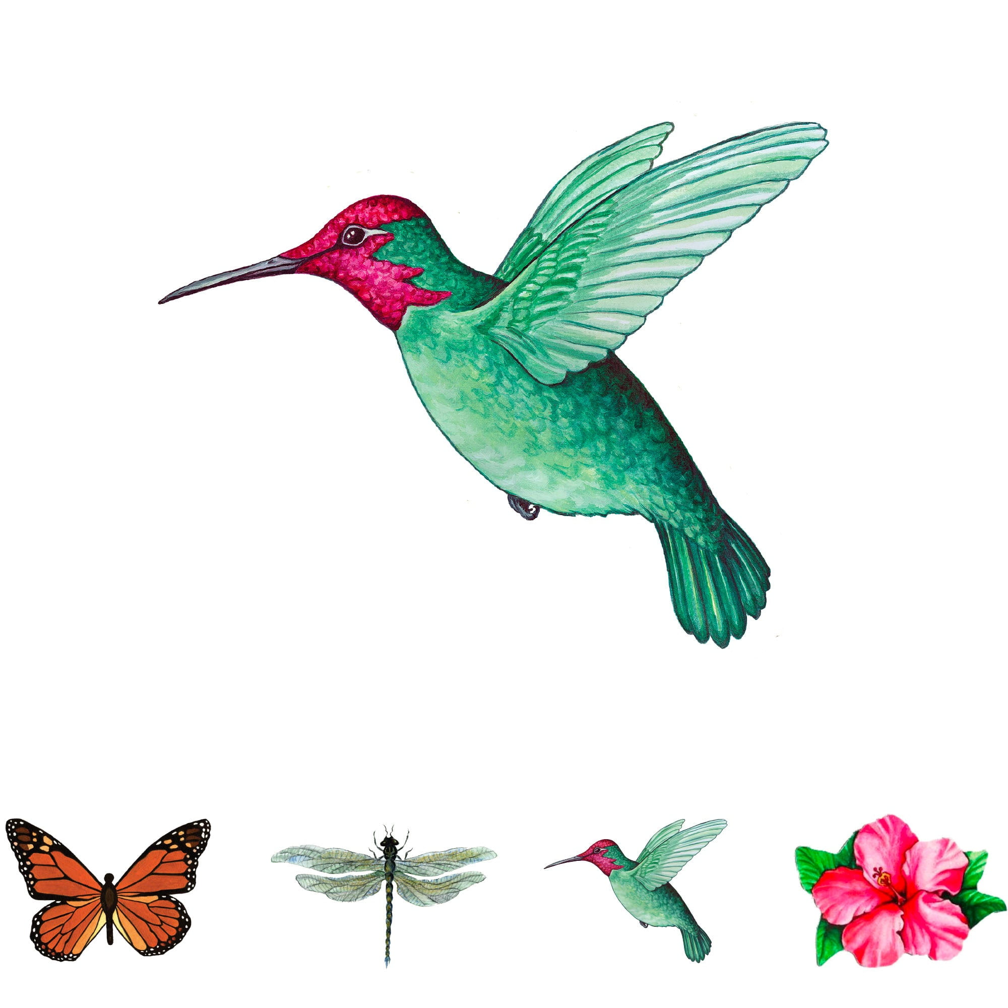 USA Made Screen Door Saver - Hummingbird Magnets - Protect & Patch ...