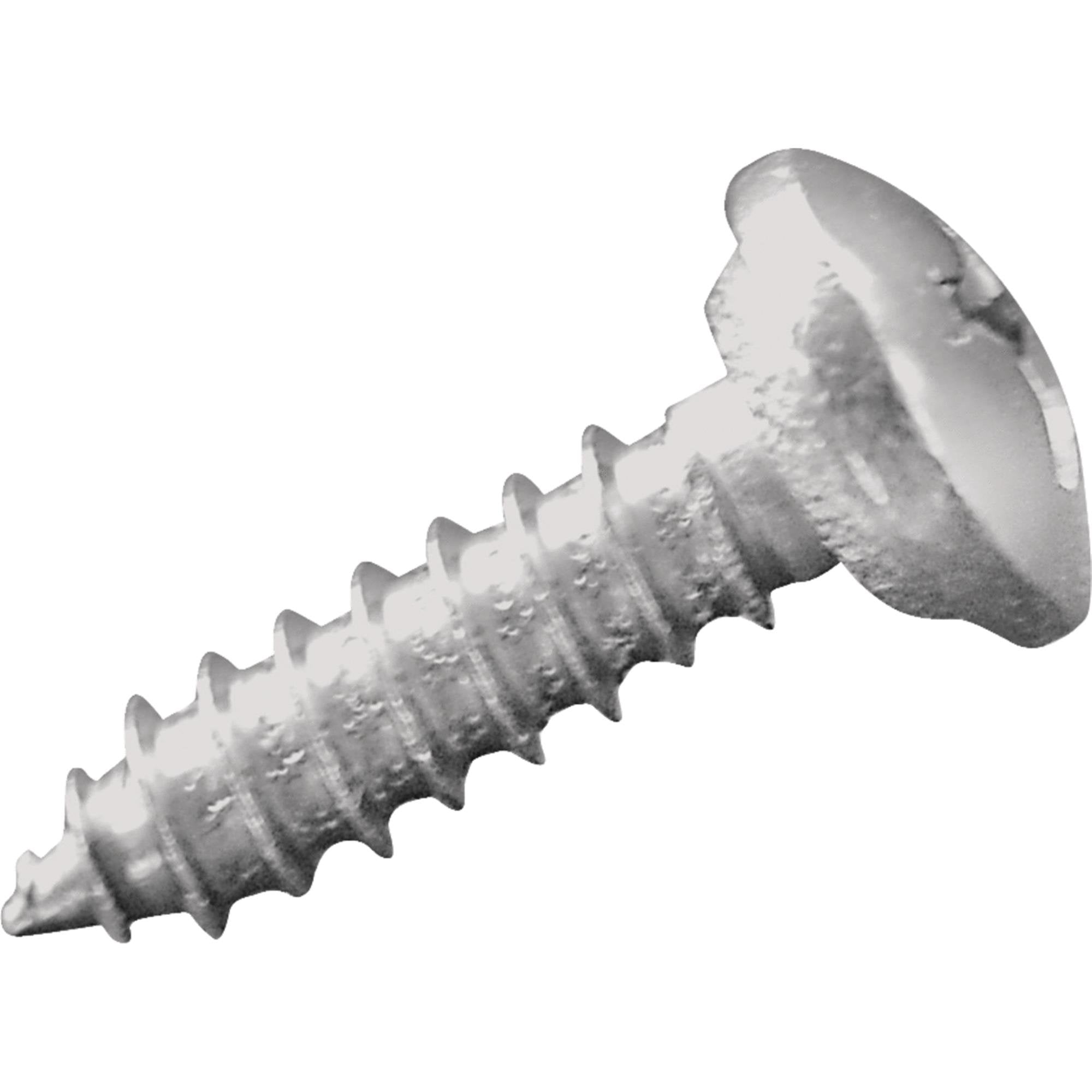 Screen Tight 1in MINItrack Stainless Steel Phillips Screw Clip (Pack of ...