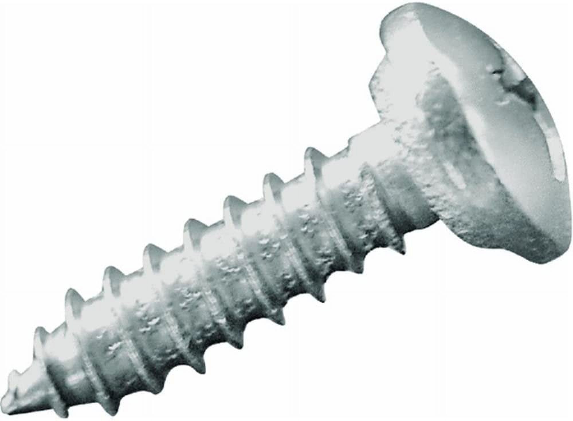 Screen Tight MTCLIPSCREW100 Minitrack Clip Screw - Set of 4 ...