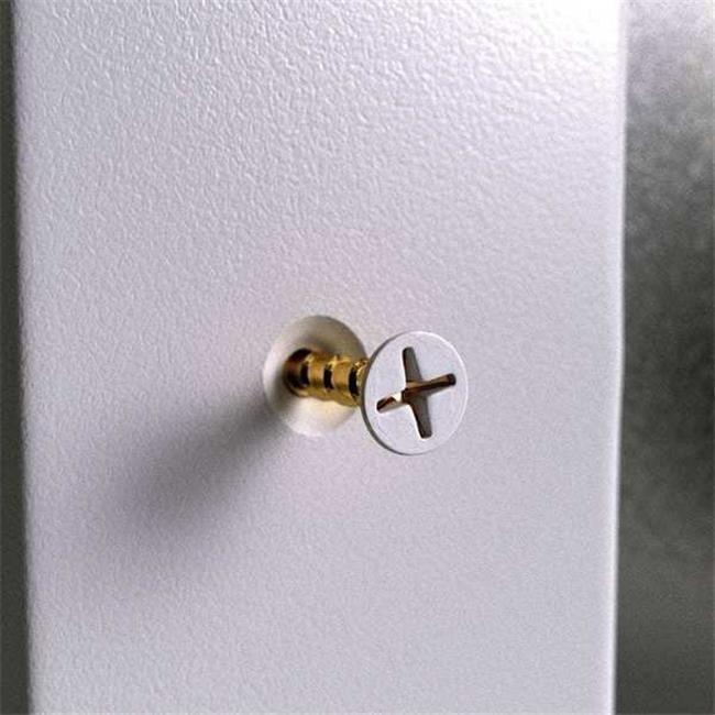 Screws for Window Frames, White - 100 per Bag - Walmart.com