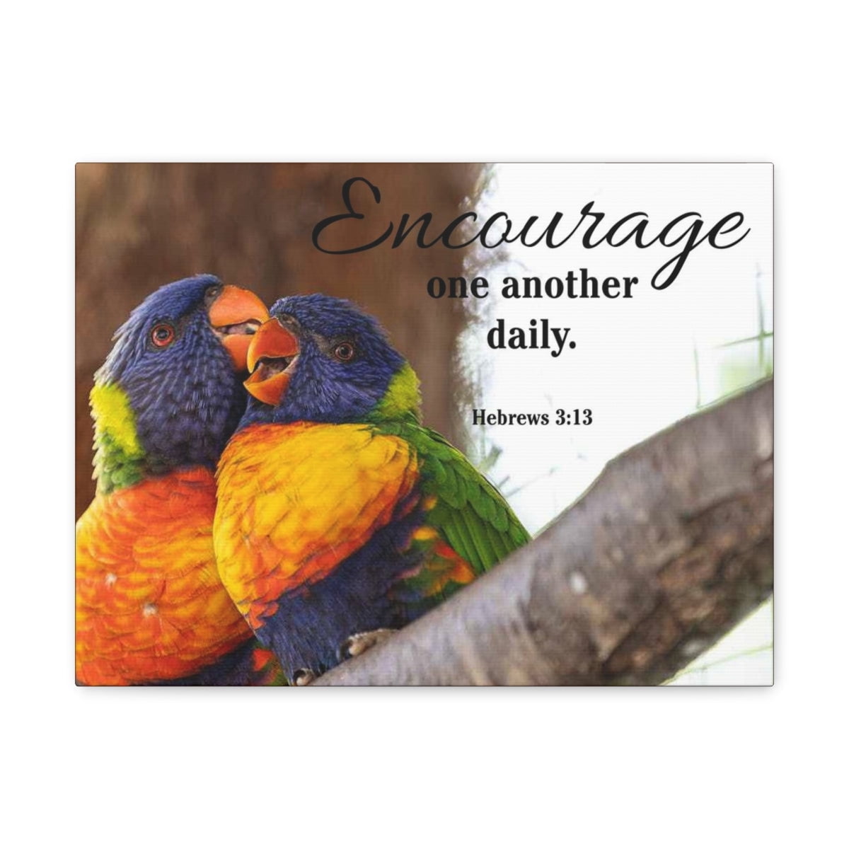 Scripture Walls Encourage One Another Daily Hebrews 3:13 Parrots ...