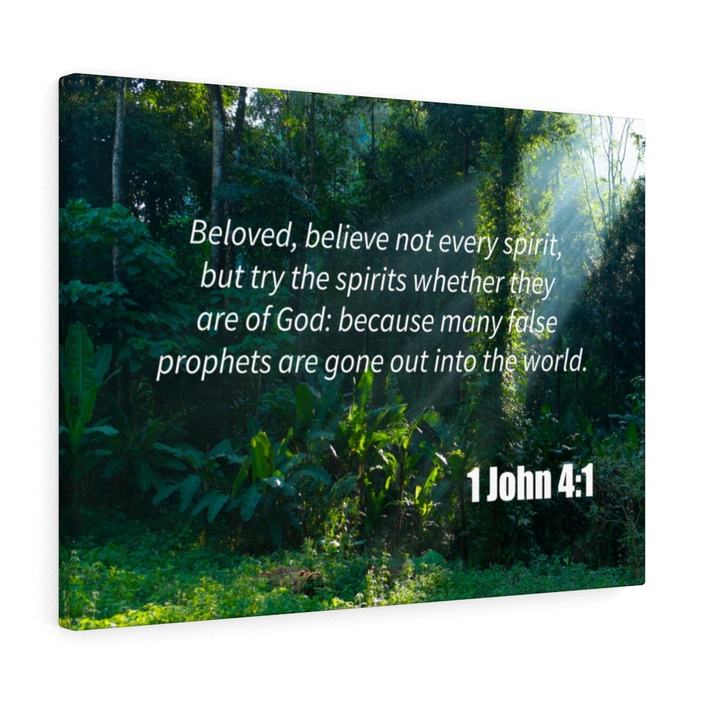 Scripture Walls 1 John 4:1 False Prophets Bible Verse Canvas Christian ...