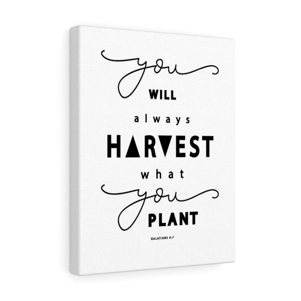Scripture Walls Always Harvest What You Plant Galatians 6:7 Bible Verse ...
