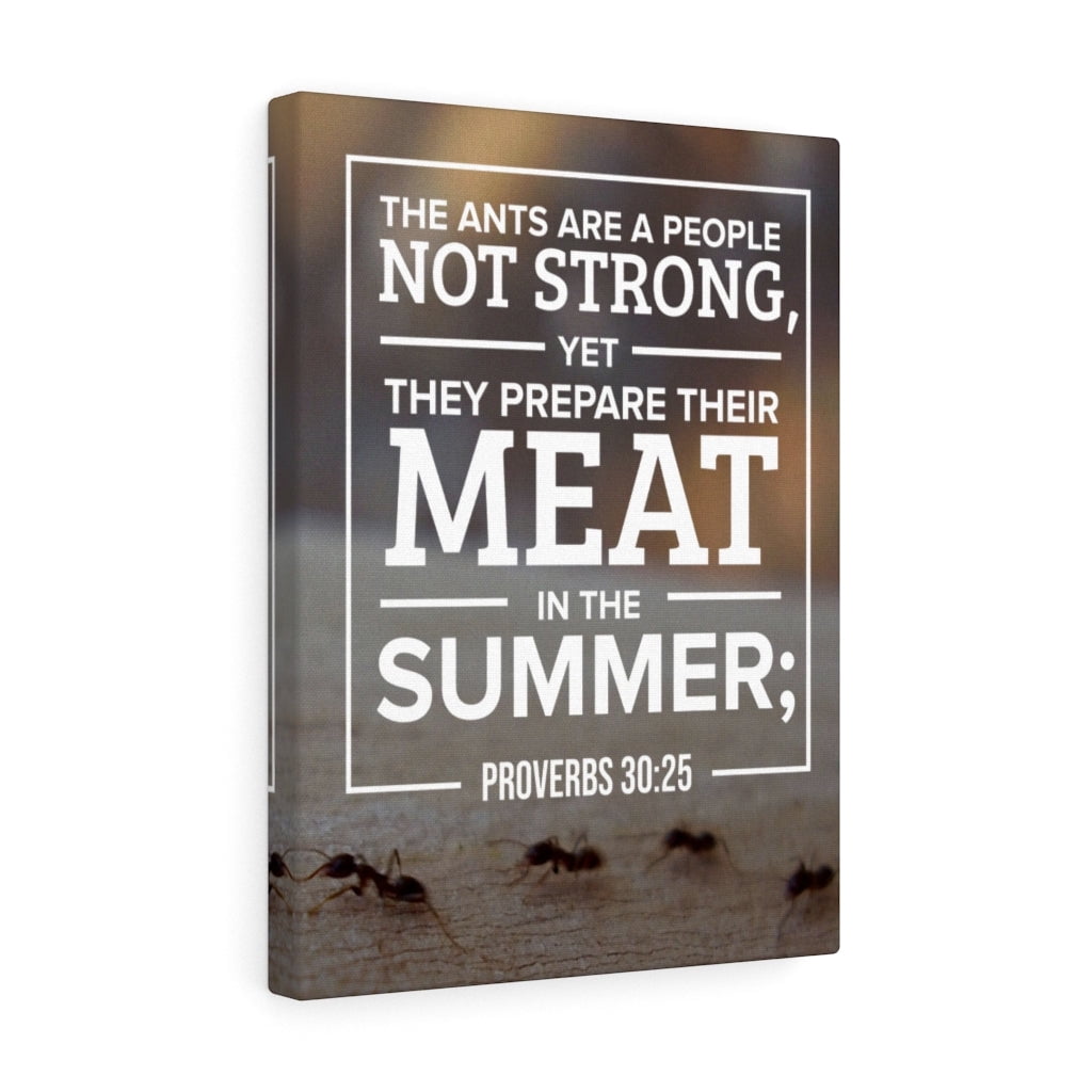 Scripture Walls Ant Preperation Proverbs 30:25 Wall Art Christian Home ...