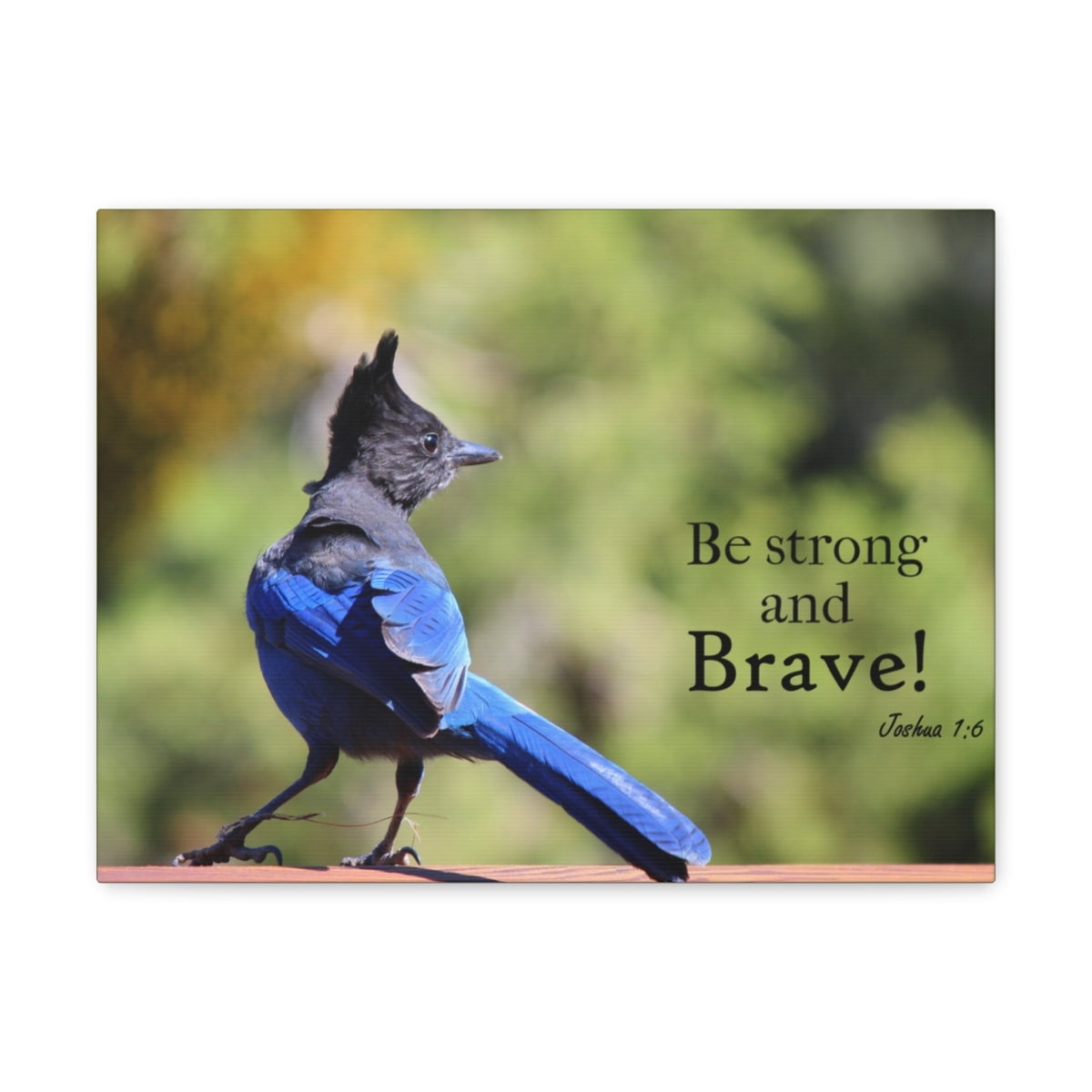 Scripture Walls Be Strong And Brave Joshua 1:6 Bible Verse Canvas ...