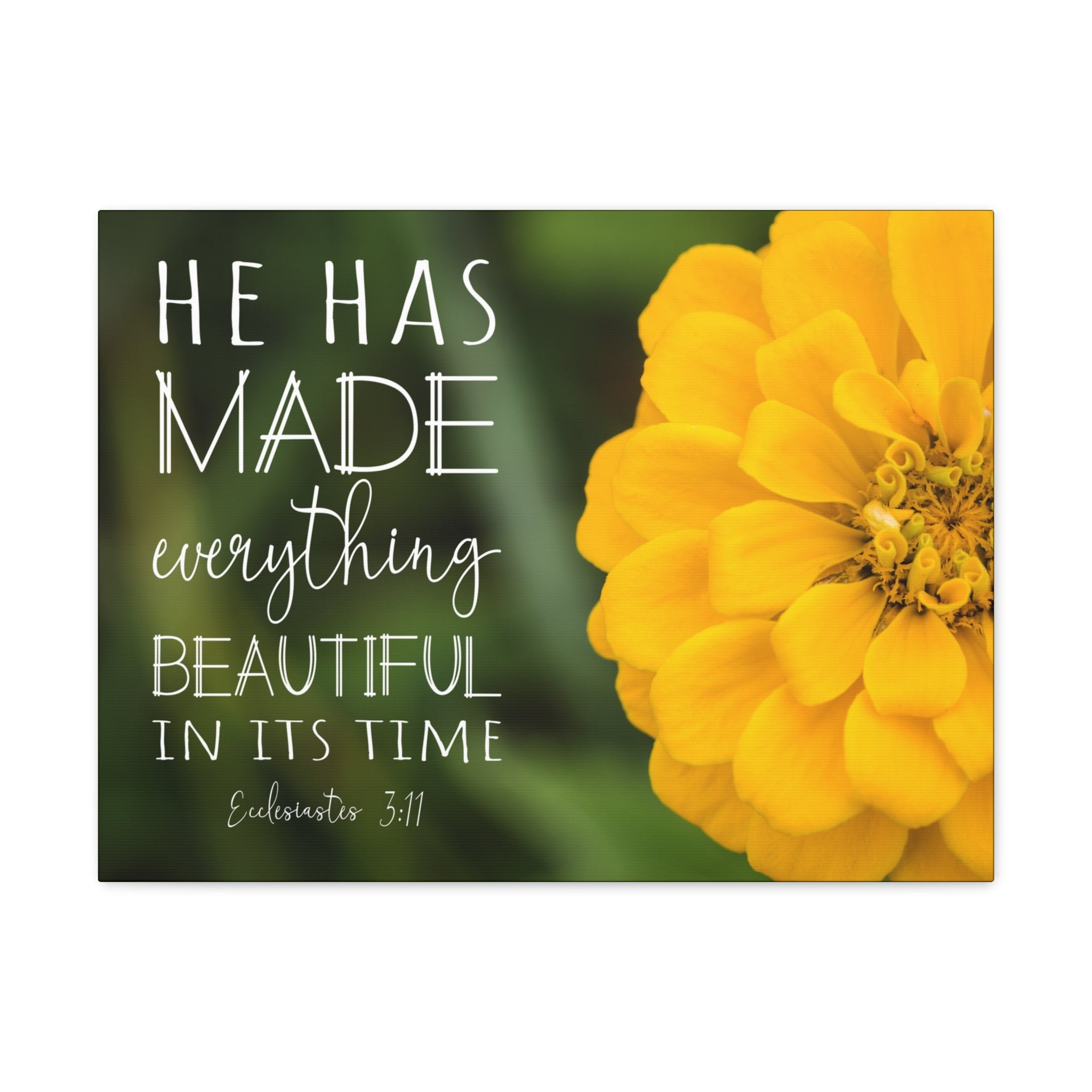 Scripture Walls Beautiful In Its Time Ecclesiastes 3:11 Bible Verse ...