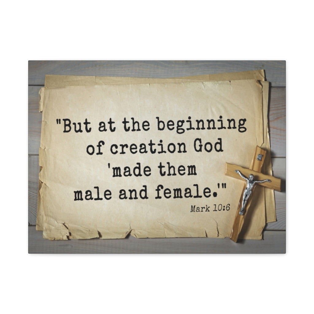Scripture Walls Beginning Of Creation Mark 10:6 Bible Verse Canvas ...