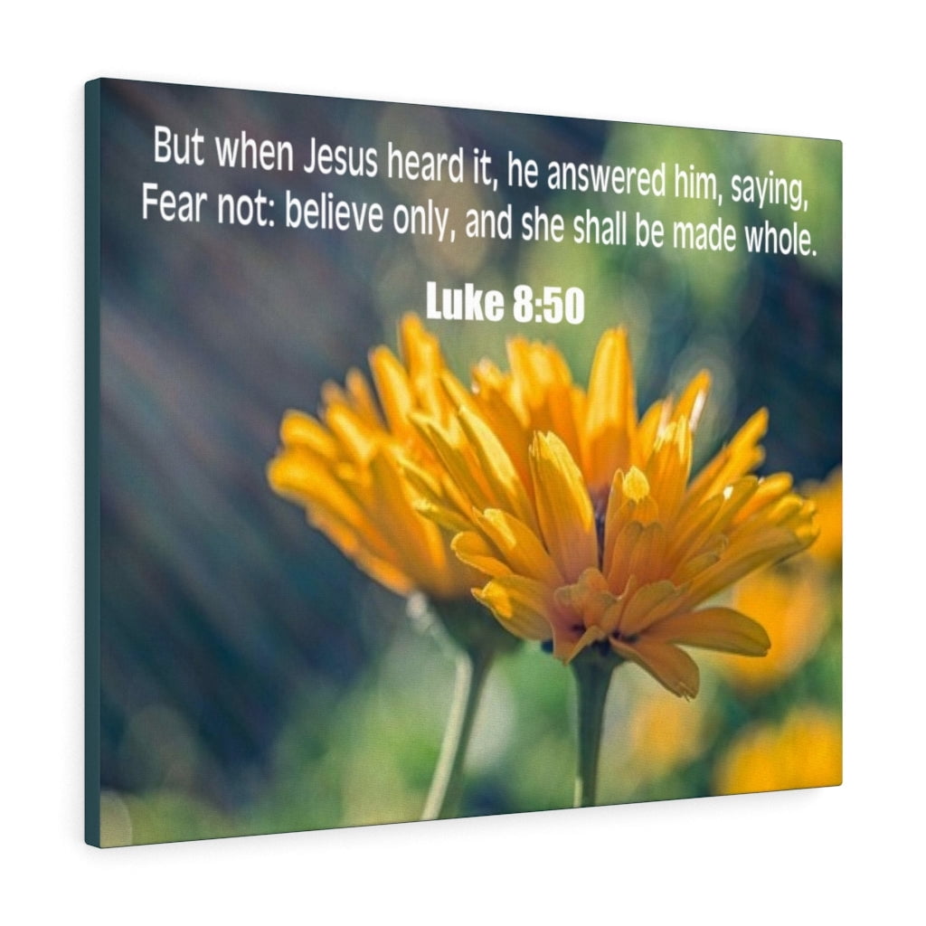 Scripture Walls Believe Only Luke 8:50 Bible Verse Canvas Christian ...