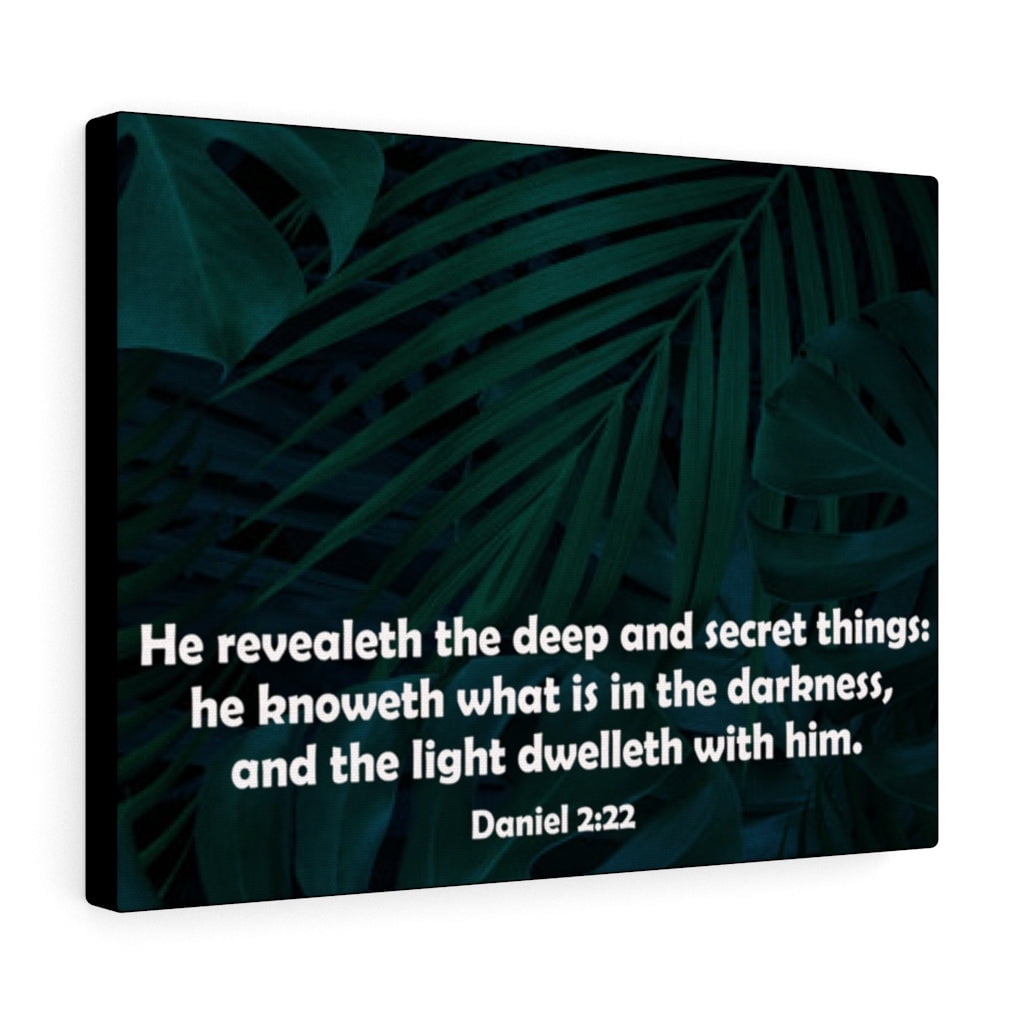 Scripture Walls Deep and Secret Things Daniel 2:22 Bible Verse Canvas ...