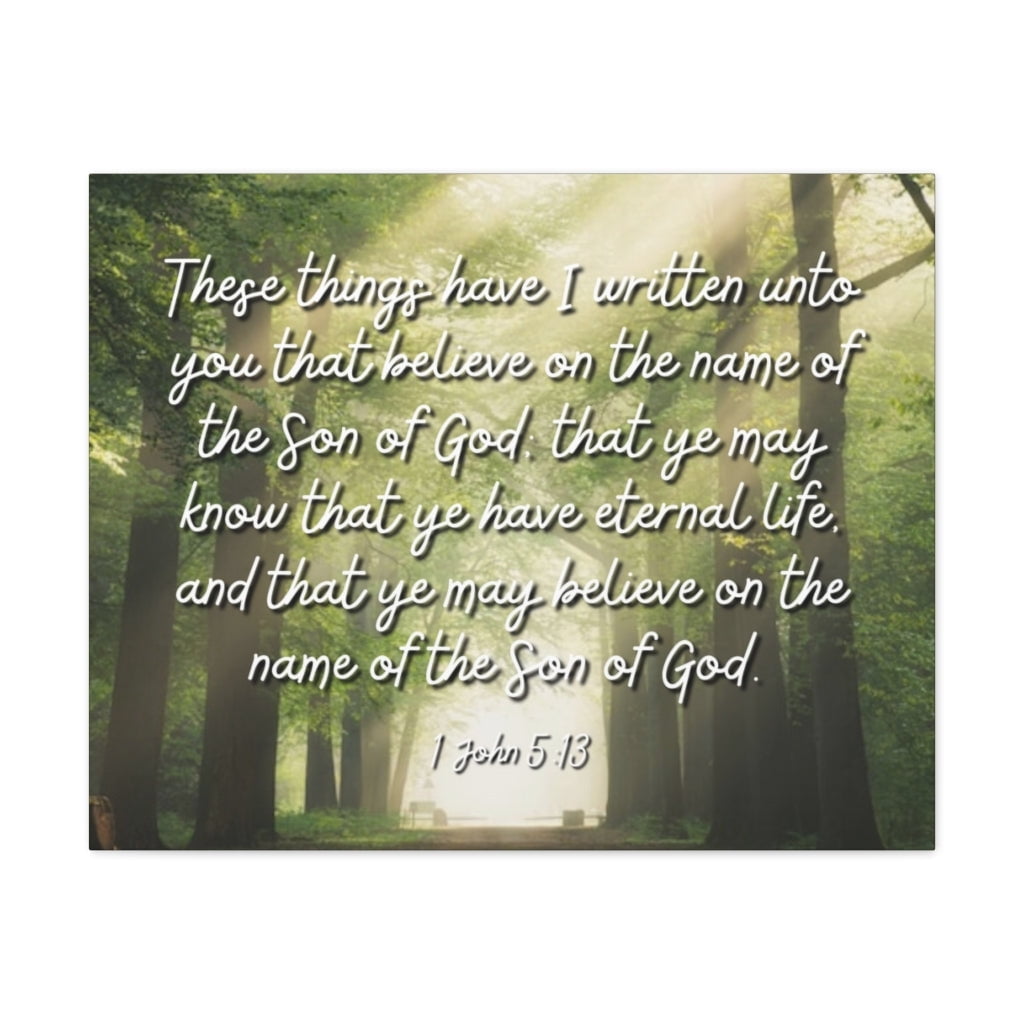 Scripture Walls 1 John 5:13 Eternal Life Bible Verse Canvas Christian ...