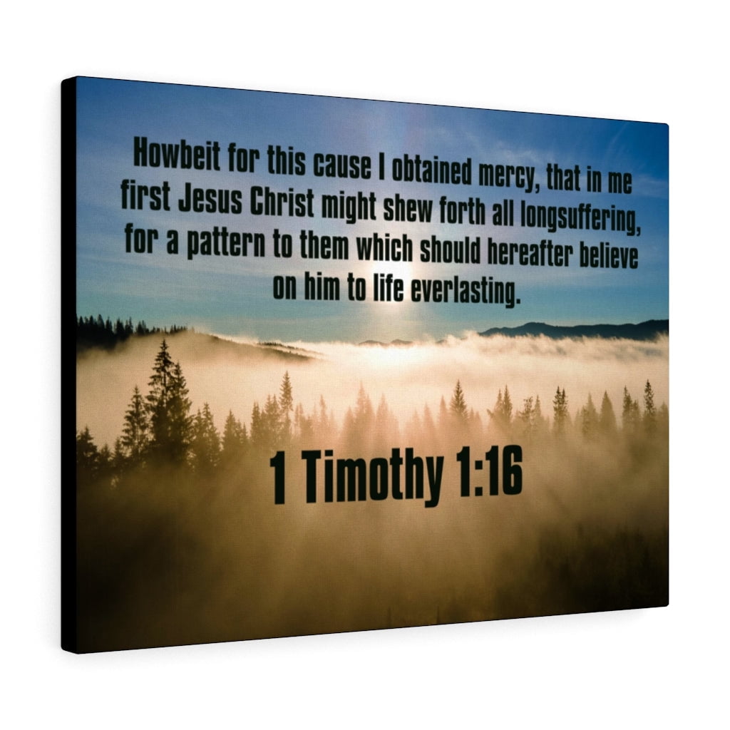 Scripture Walls Everalsting Life 1 Timothy 1:16 Christian Home Decor ...