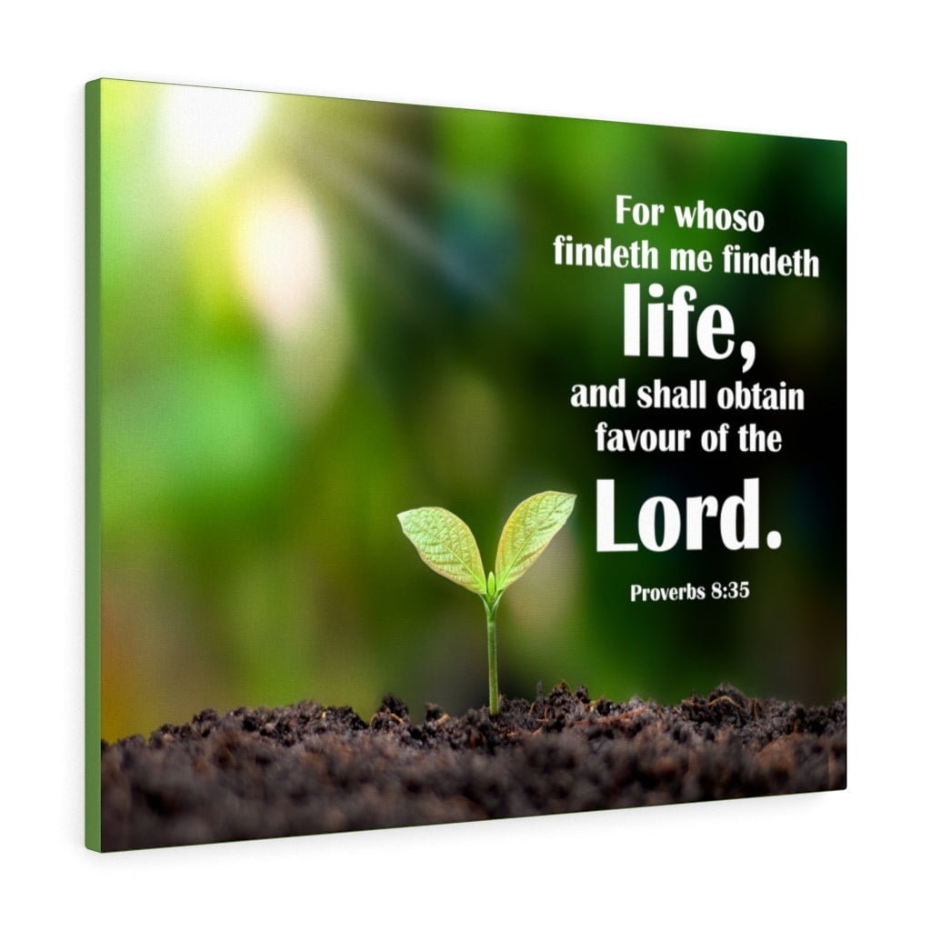 Scripture Walls Favour of The Lord Proverbs 8:35 Bible Verse Canvas ...