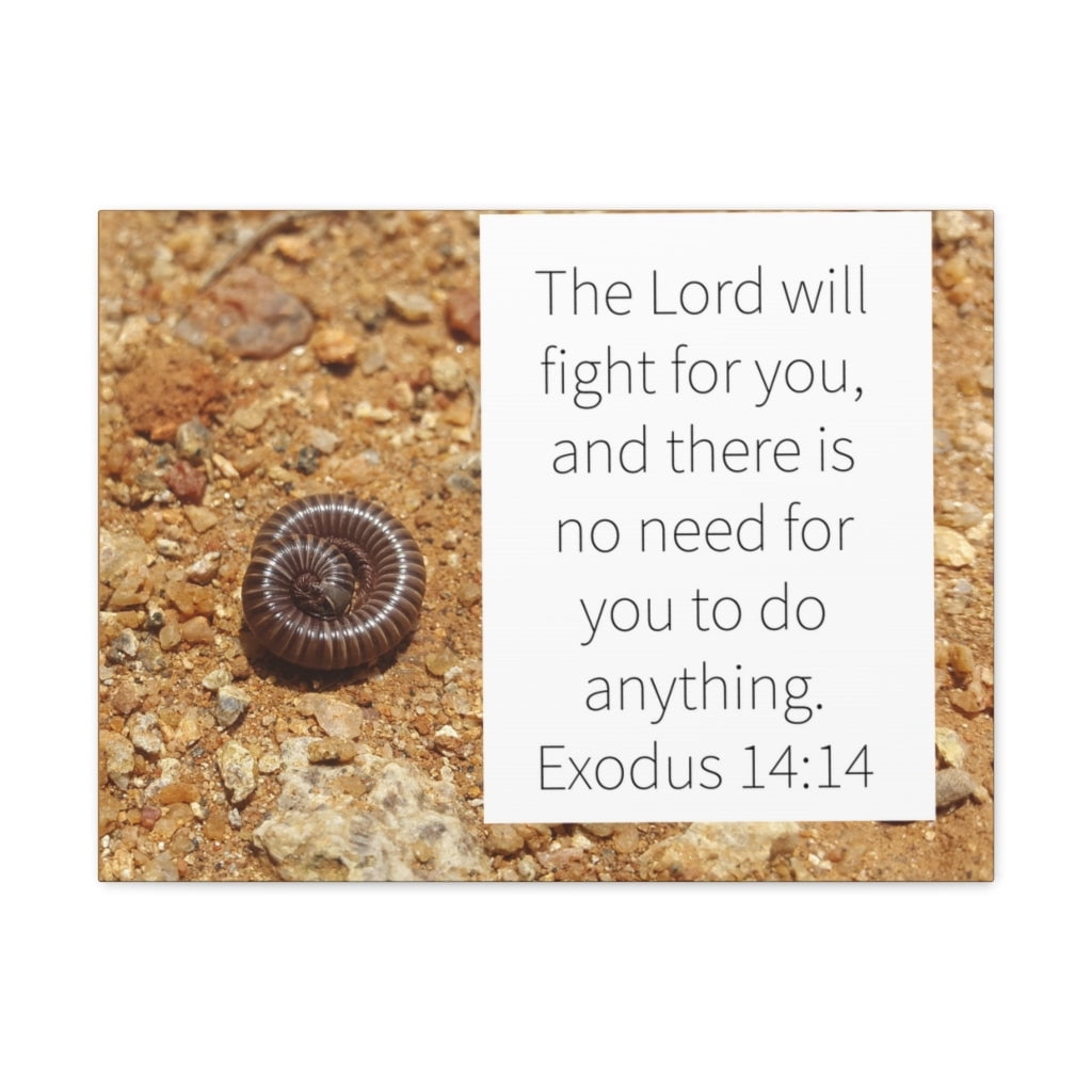 Scripture Walls Fight For You Exodus 14:14 Bible Verse Canvas Christian ...